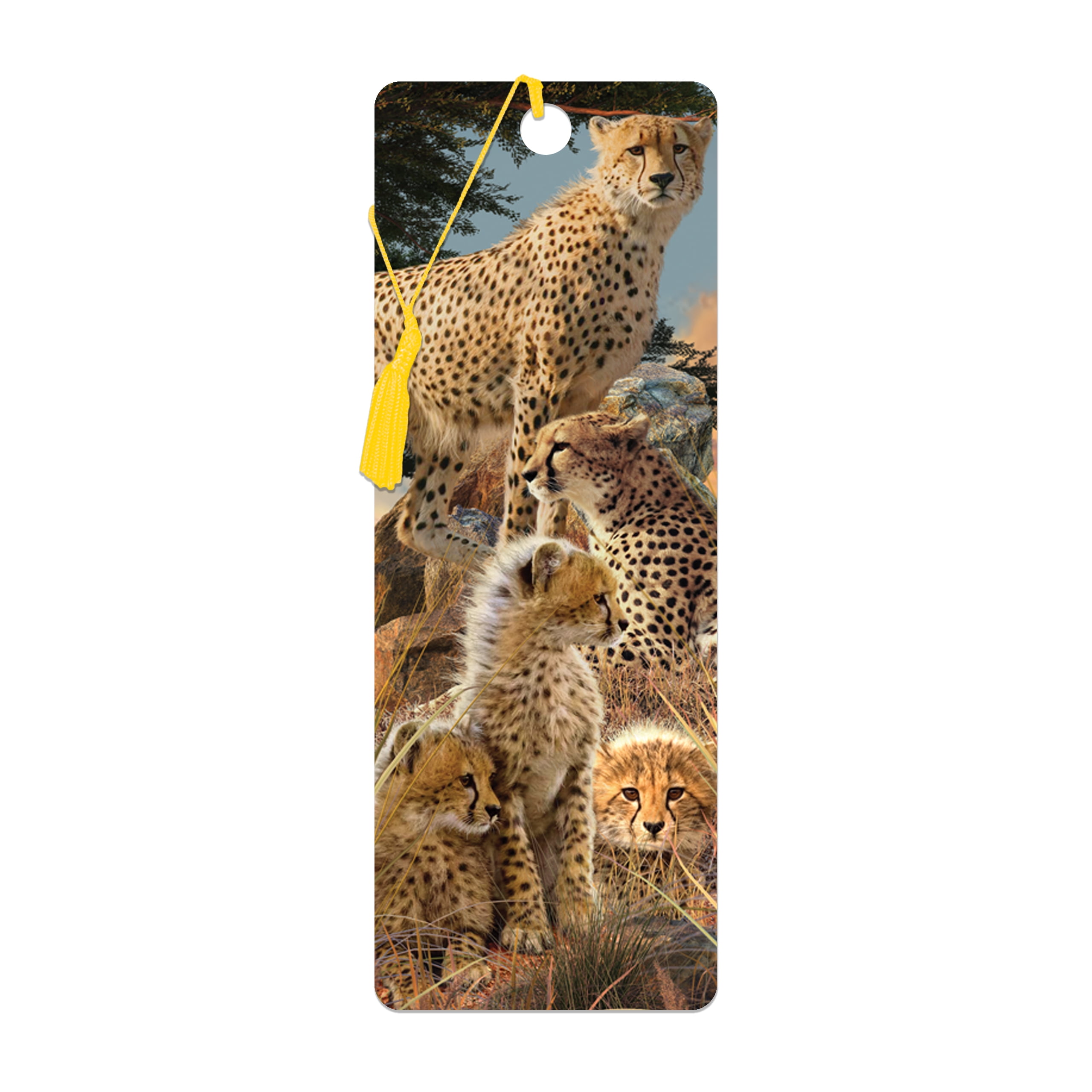 3D LiveLife Bookmark - Cheetah Clan from Deluxebase. A Big Cat book ...