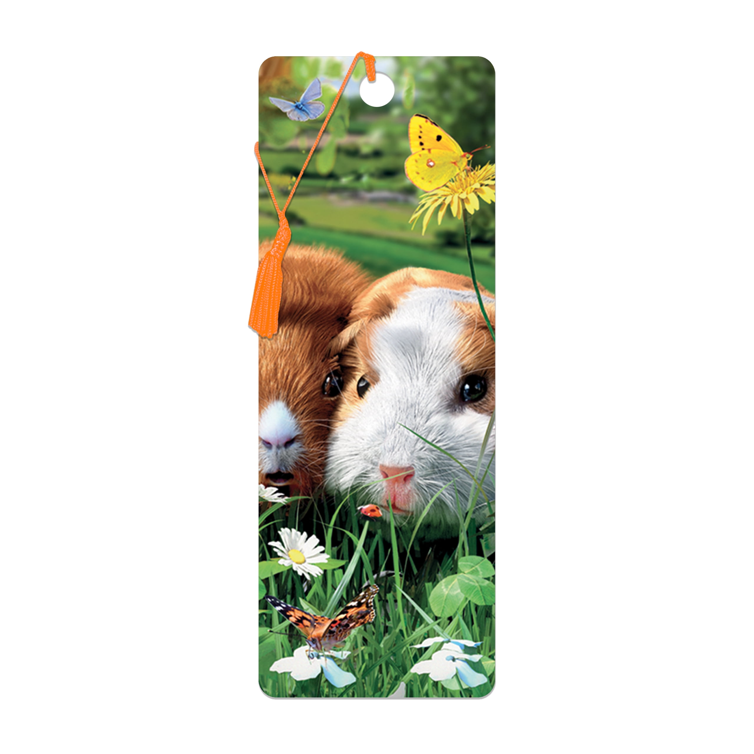 3D LiveLife Bookmark - Guinea Pigs from Deluxebase. A Guinea Pig book ...