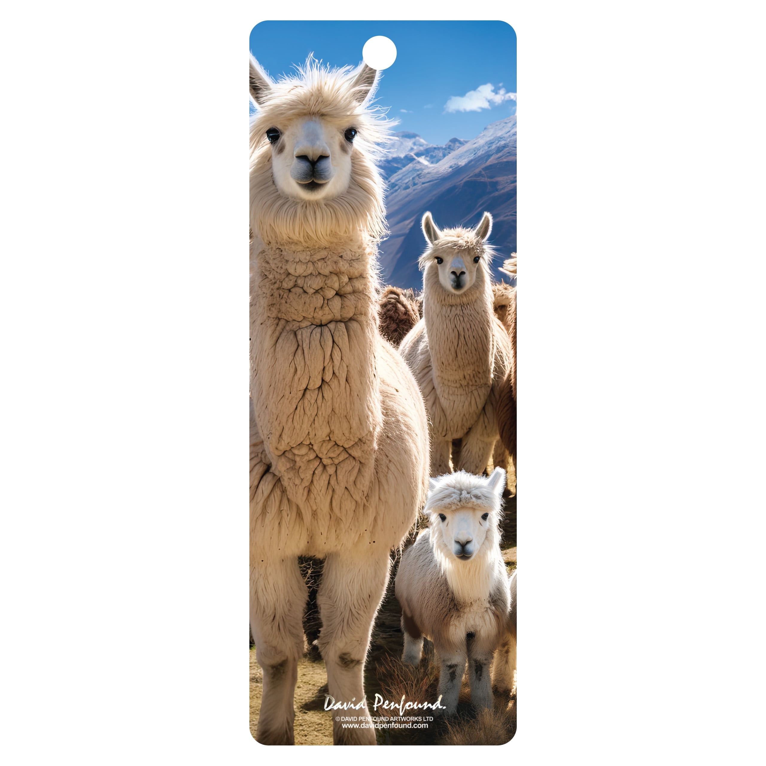 3D LiveLife Bookmark Llamarama by Deluxebase – Lenticular 3D Llama Art ...