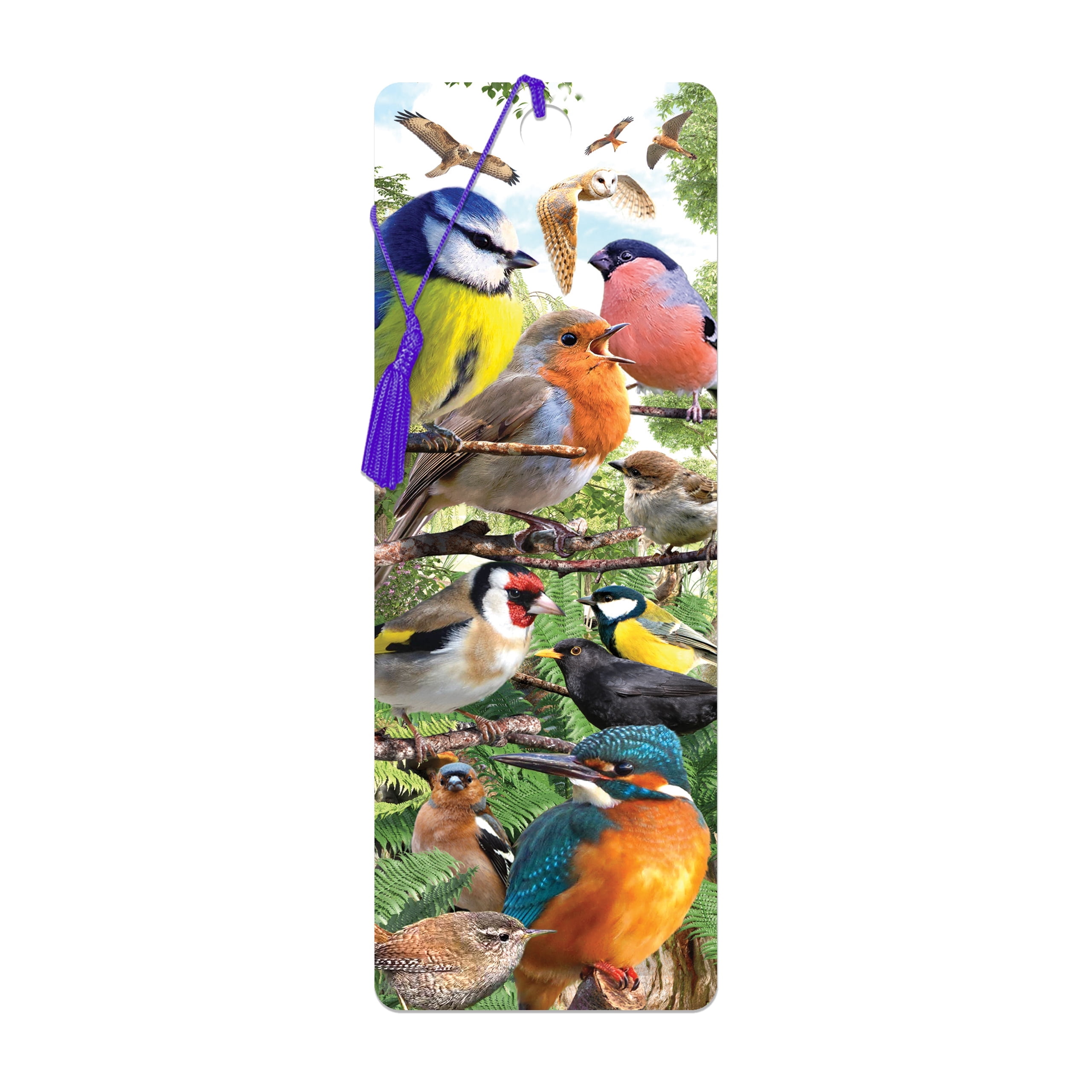 3D LiveLife Bookmark Nature's Home by Deluxebase Lenticular 3D Bird ...