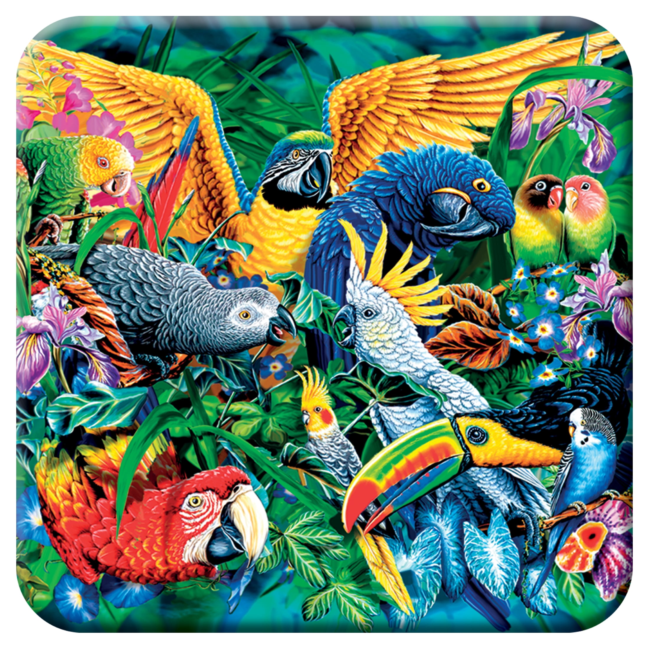 3D LiveLife Cork Coaster - Birds of the Tropics from Deluxebase ...