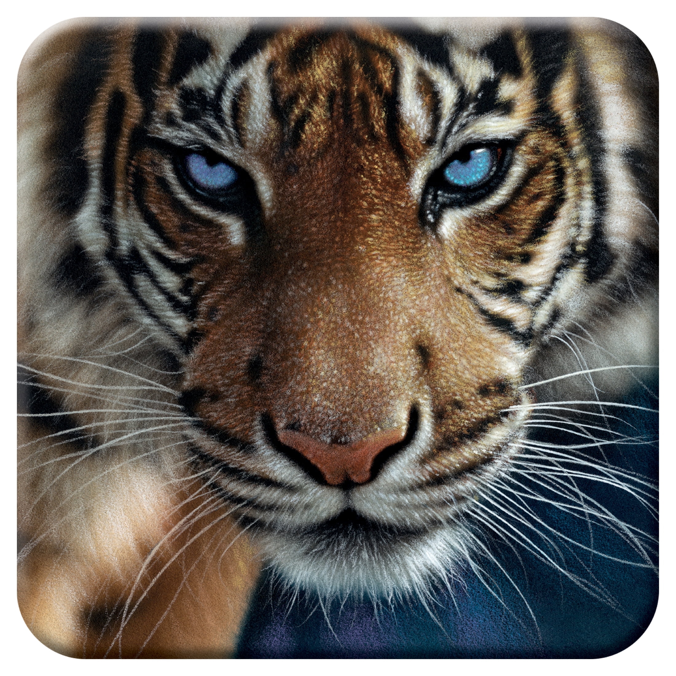 3D LiveLife Cork Coaster - Blue Eyes by Deluxebase Lenticular 3D Tiger ...