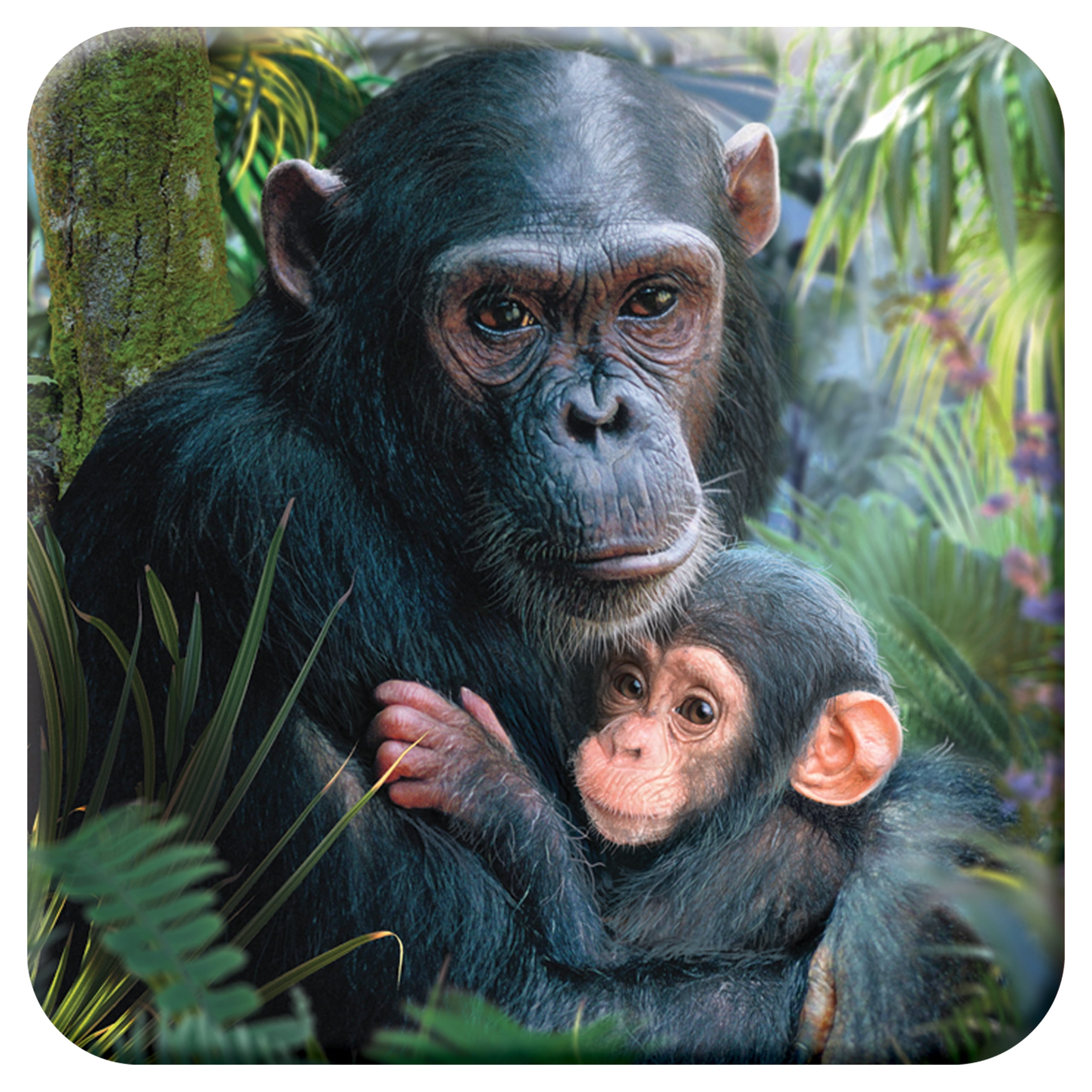 3D LiveLife Cork Coaster - Cute Cuddles from Deluxebase. Lenticular 3D ...