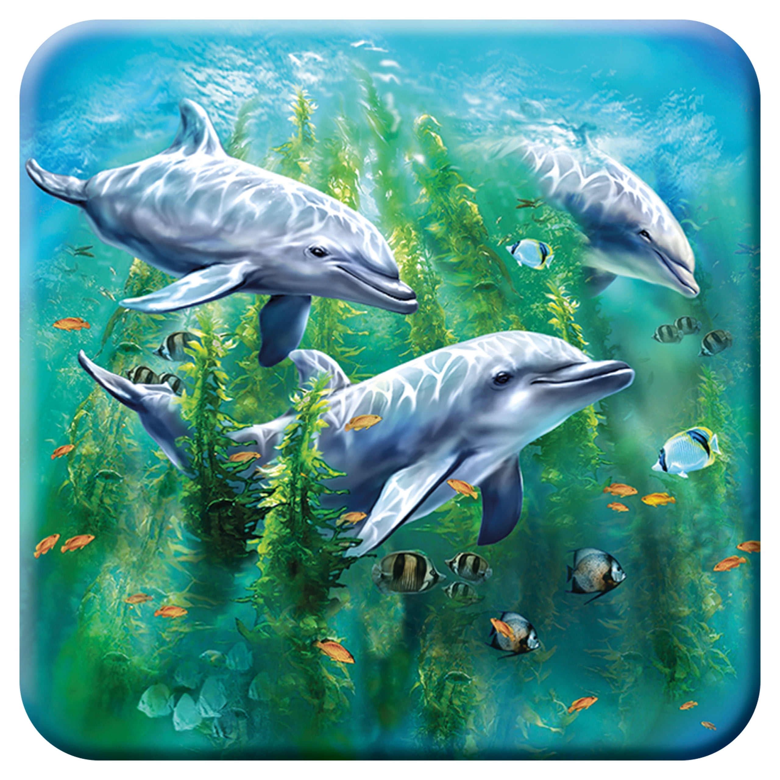 3D LiveLife Dolphin Kelp Bed Cork Coaster by Deluxebase – Non-Slip, 3D ...