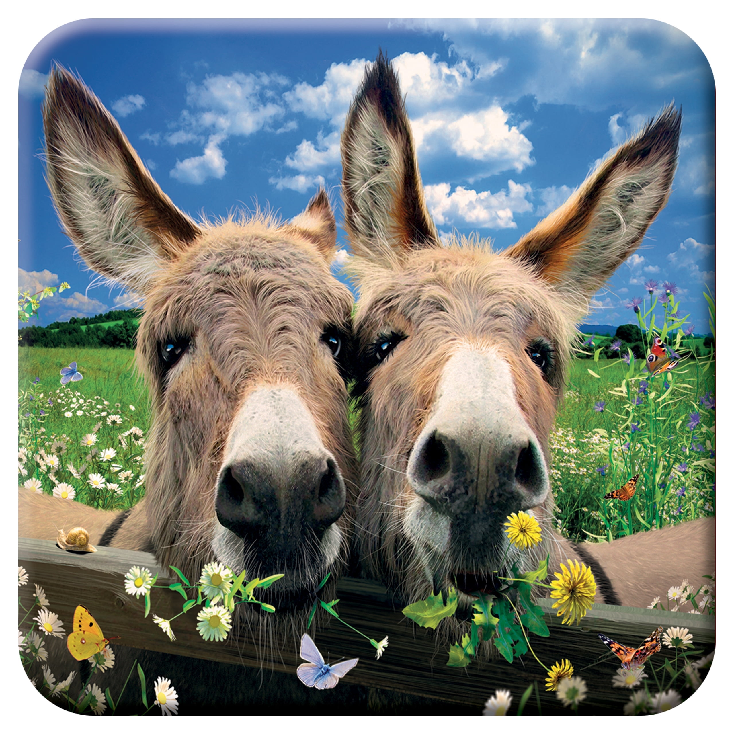 3D LiveLife Cork Coaster – Donkeys by Deluxebase 3D Donkey Art Table ...