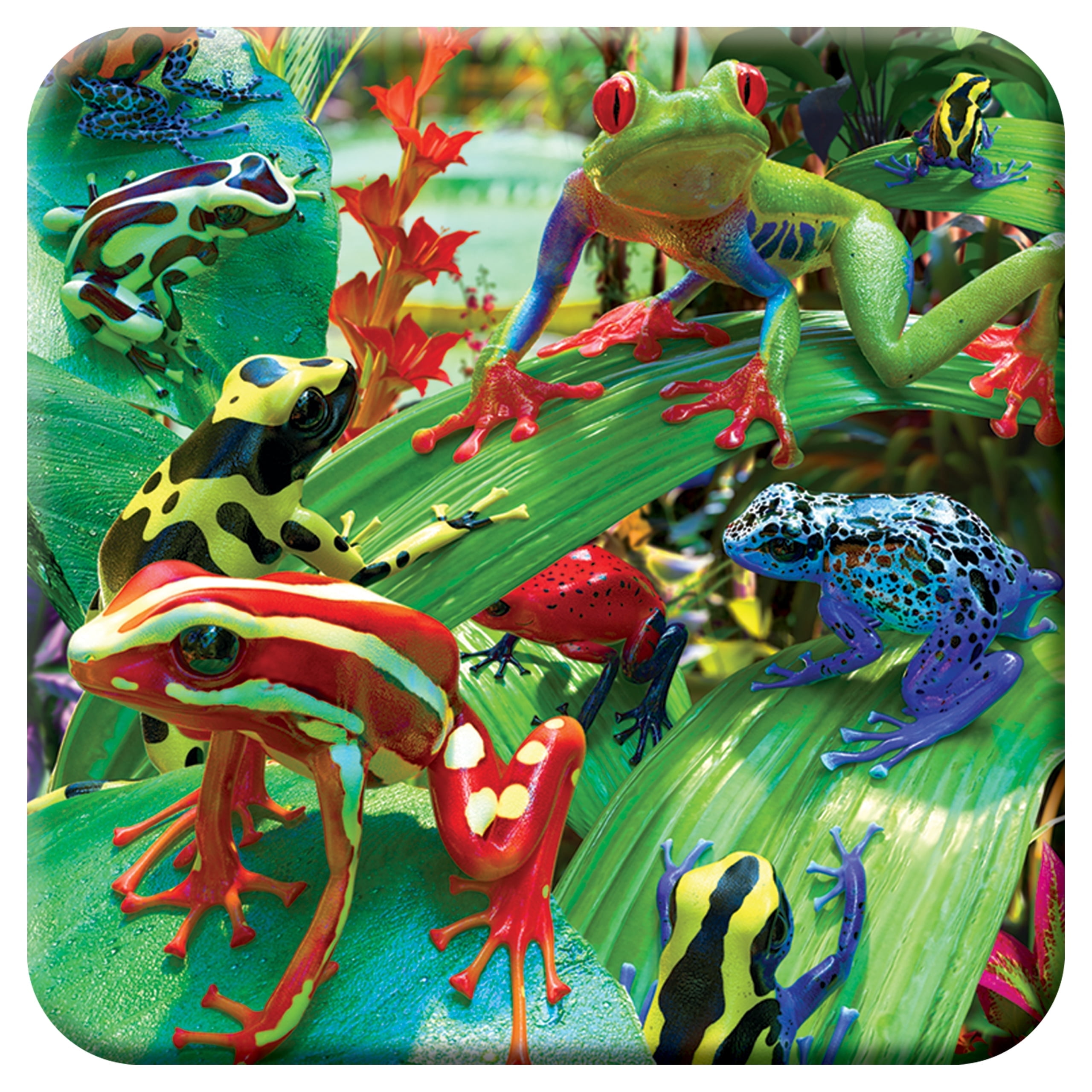 3D LiveLife Cork Coaster - Funky Frogs by Deluxebase Lenticular 3D Frog ...