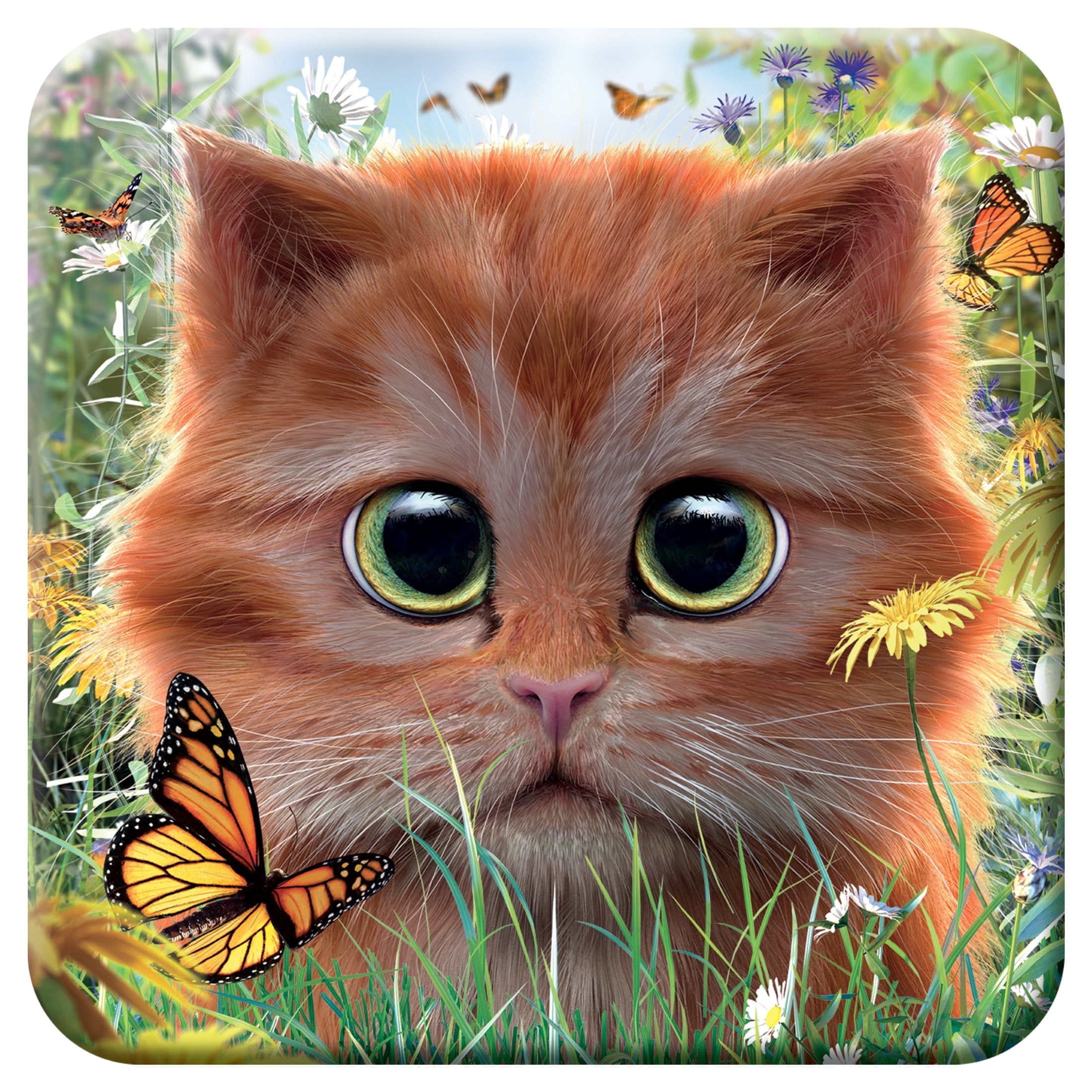 3D LiveLife Cork Coaster - Ginger Kitten by Deluxebase Lenticular 3D ...