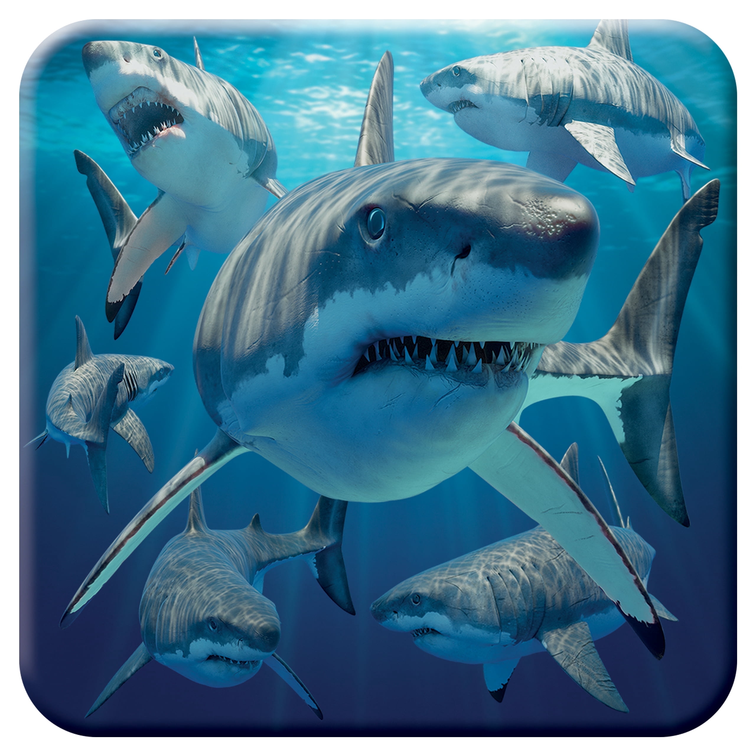 3D LiveLife Cork Coaster – Great White Sharks by Deluxebase 3D Shark ...