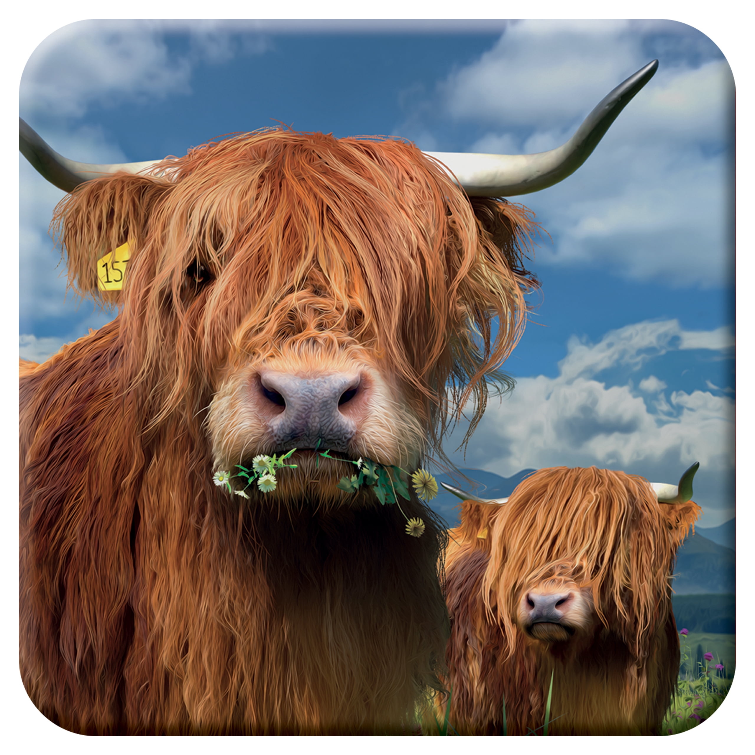 3D LiveLife Cork Coaster - Highland Cattle from Deluxebase. Lenticular ...