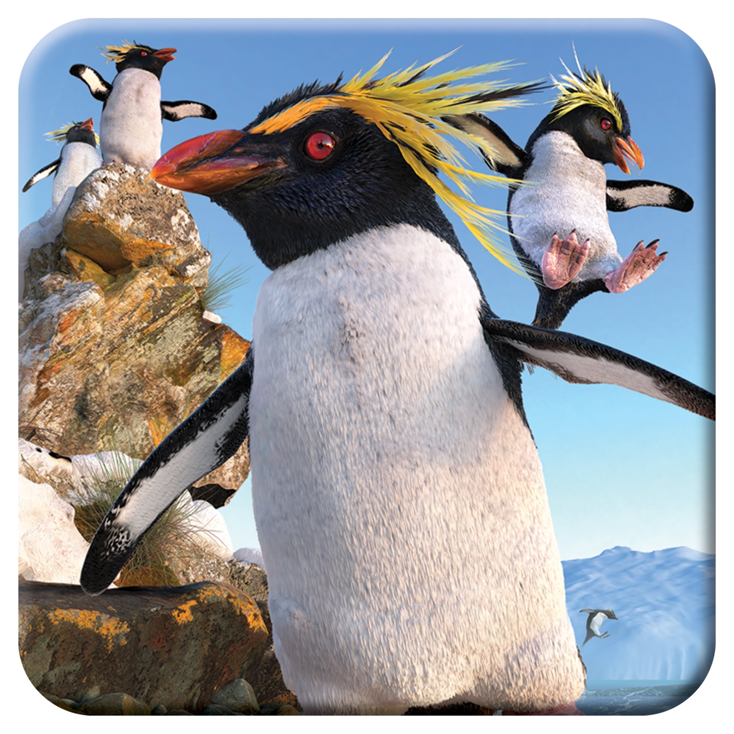 3D LiveLife Cork Coaster - Rockhoppers from Deluxebase. Lenticular 3D ...