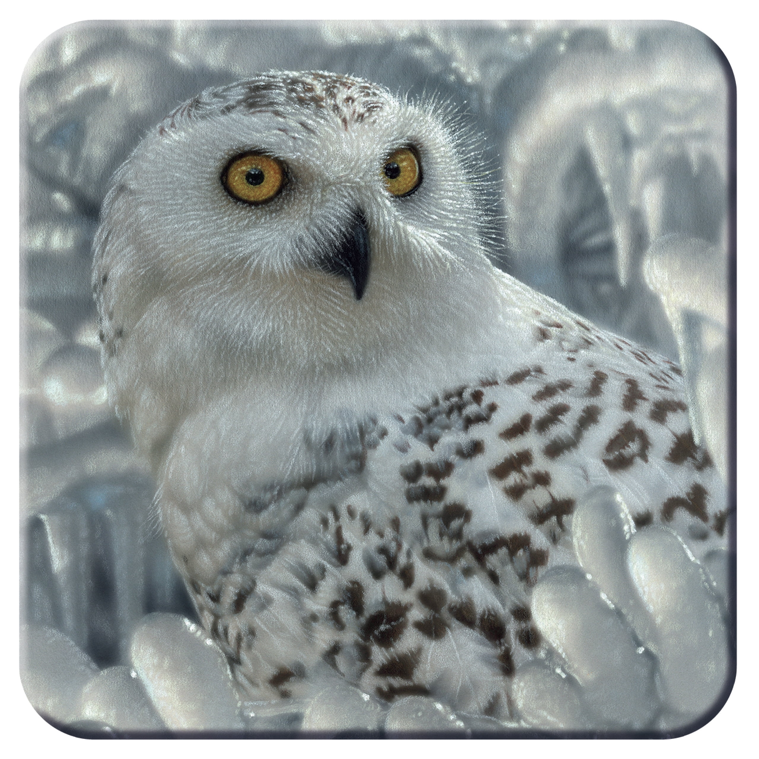 3D LiveLife Cork Coaster - Snowy Owl by Deluxebase | Lenticular Non ...