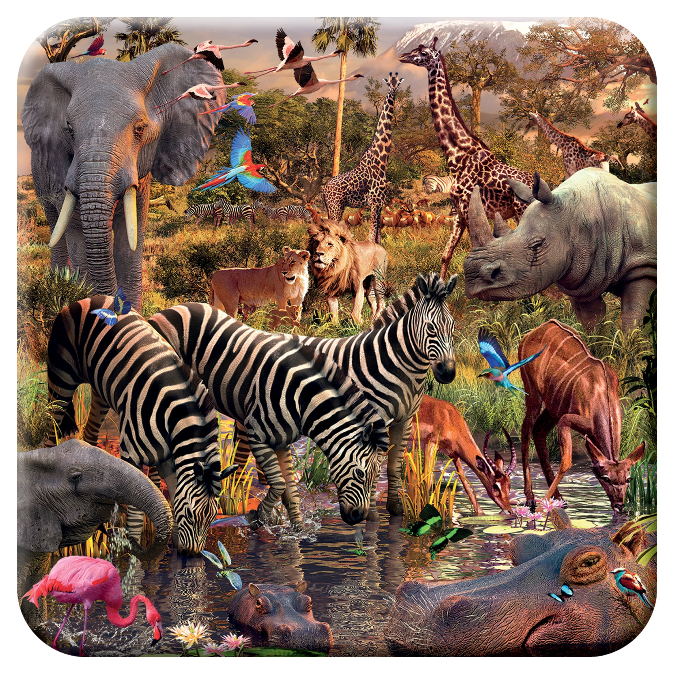 3D LiveLife Cork Coaster - Waterhole from Deluxebase. Lenticular 3D ...
