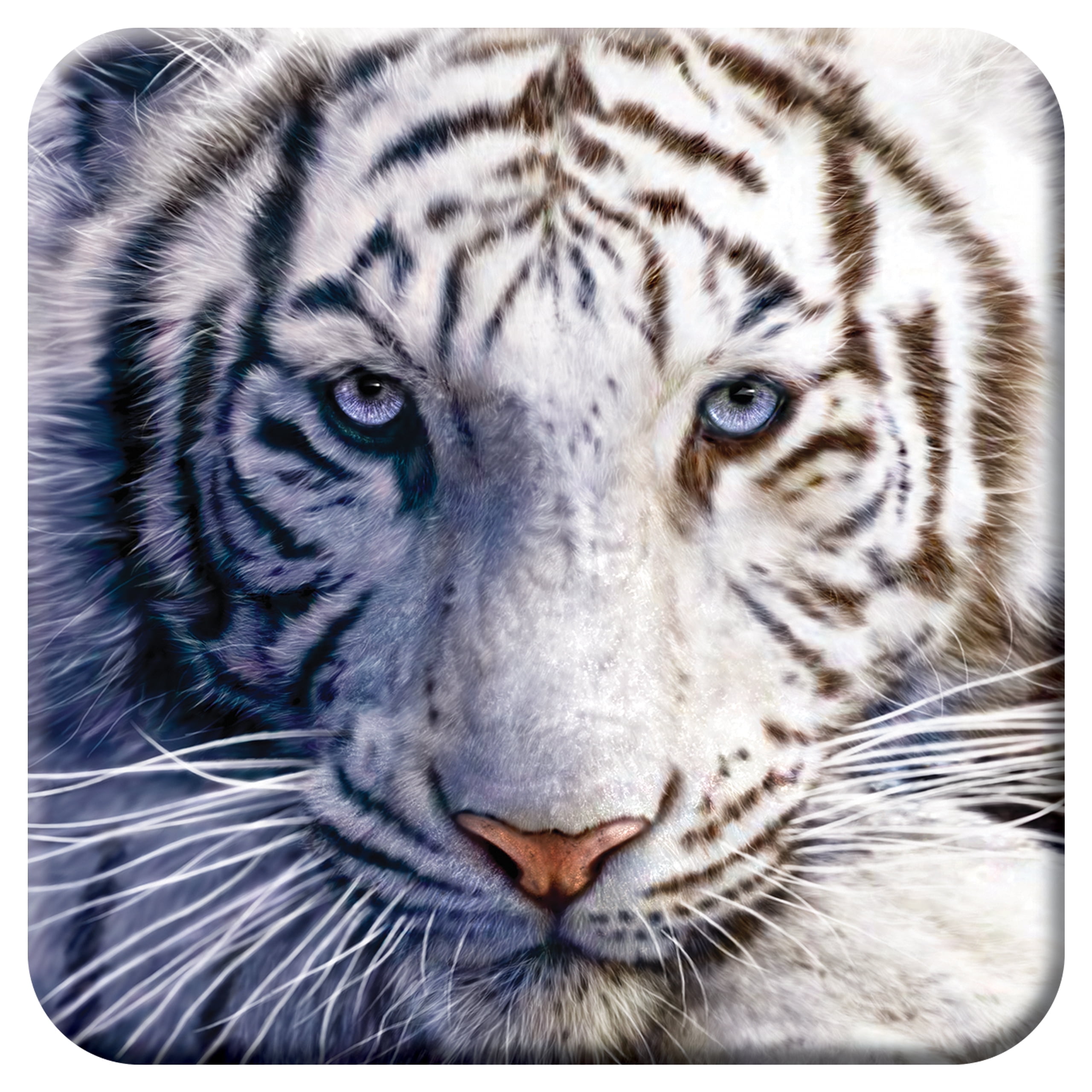 3D LiveLife Cork Coaster - White Tiger Repose by Deluxebase Lenticular ...