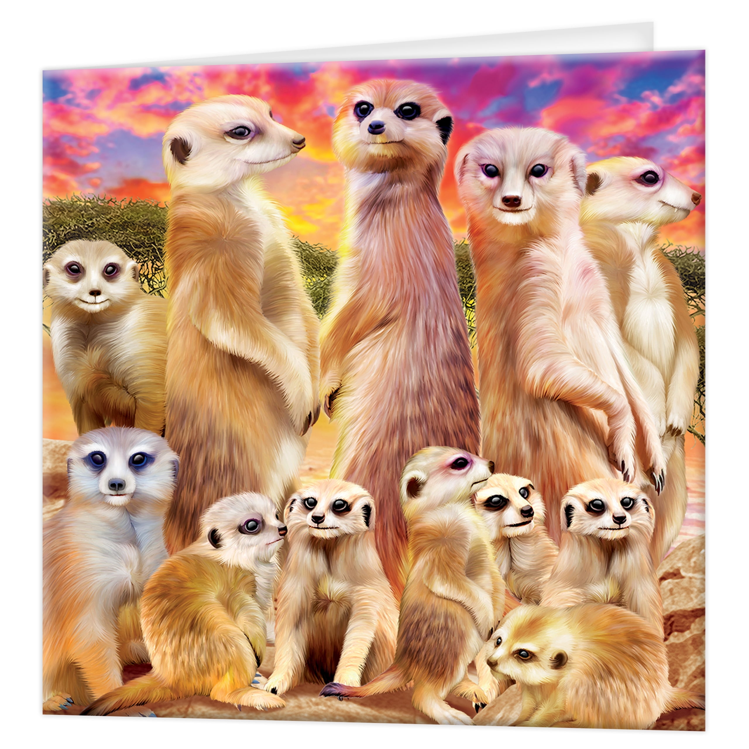 3D LiveLife Greeting Card - Cool Meerkats Colourful Lenticular 3D Card ...