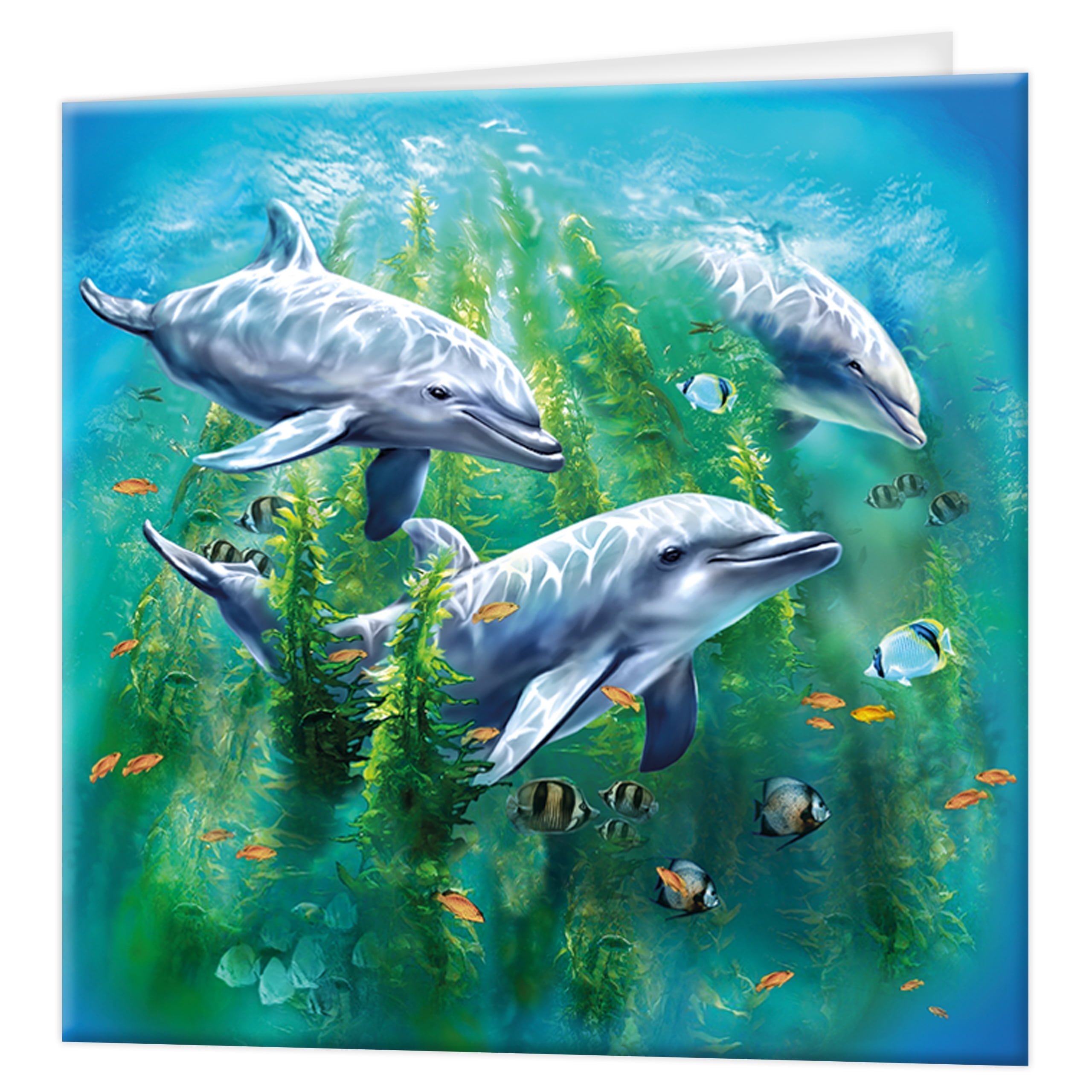 3D LiveLife Dolphin Kelp Bed Greeting Card by Deluxebase – 3D Ocean Art by Tami Alba - Walmart.com