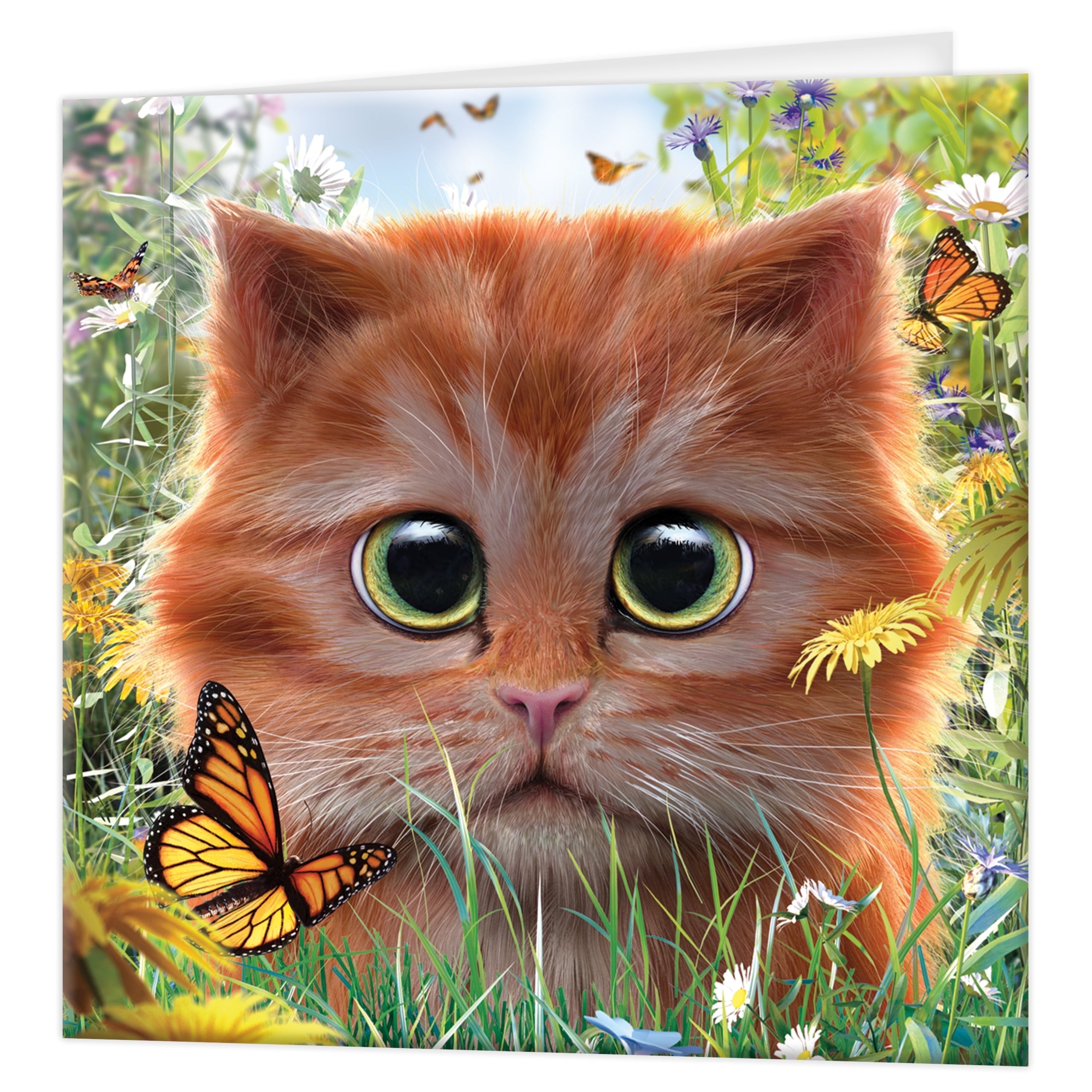 3D LiveLife Greeting Card - Ginger Kitten from Deluxebase. Cute ...