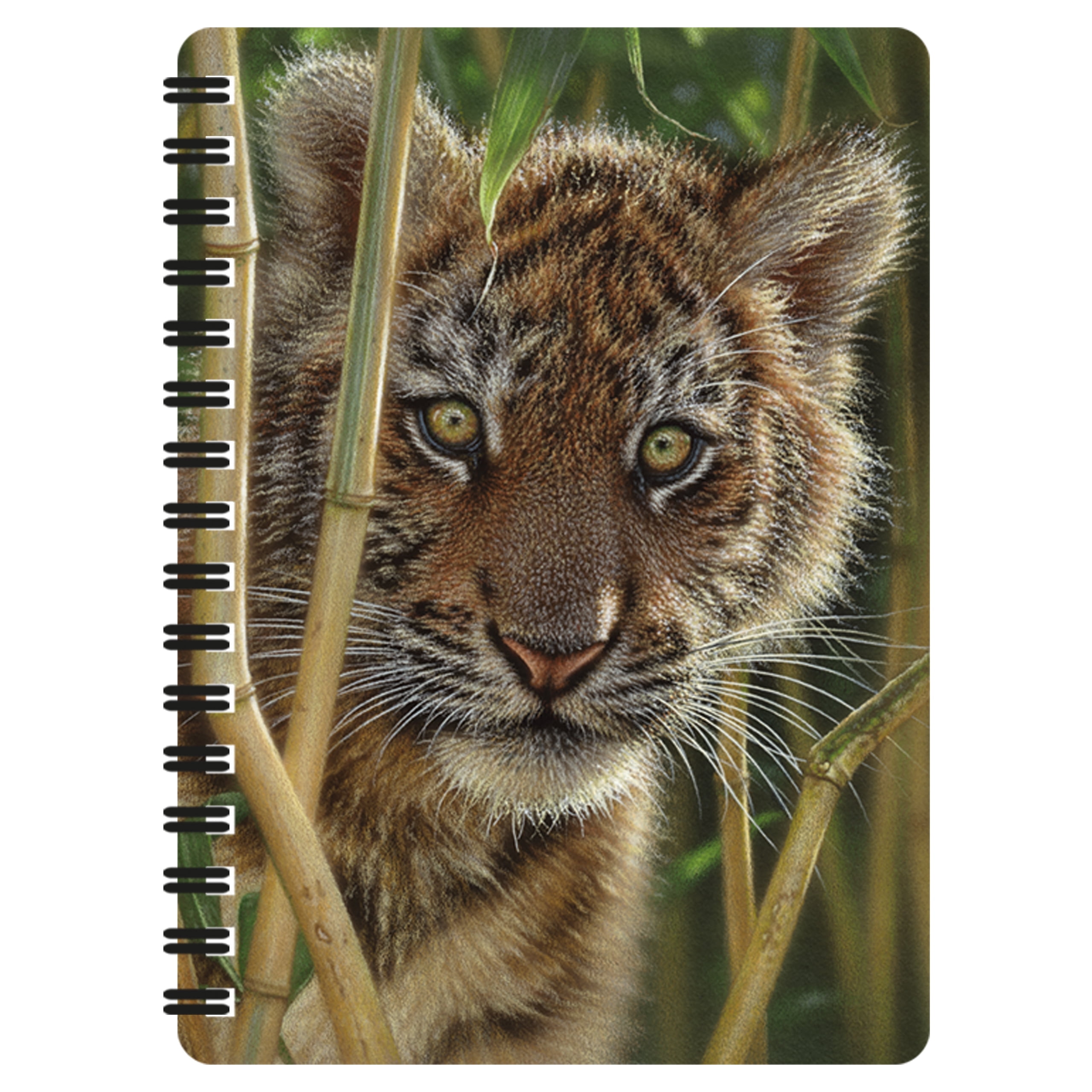 3D LiveLife Jotter – Discovery by Deluxebase, 6x4 Spiral Notebook, Recycled Paper, Art by Bogle ...