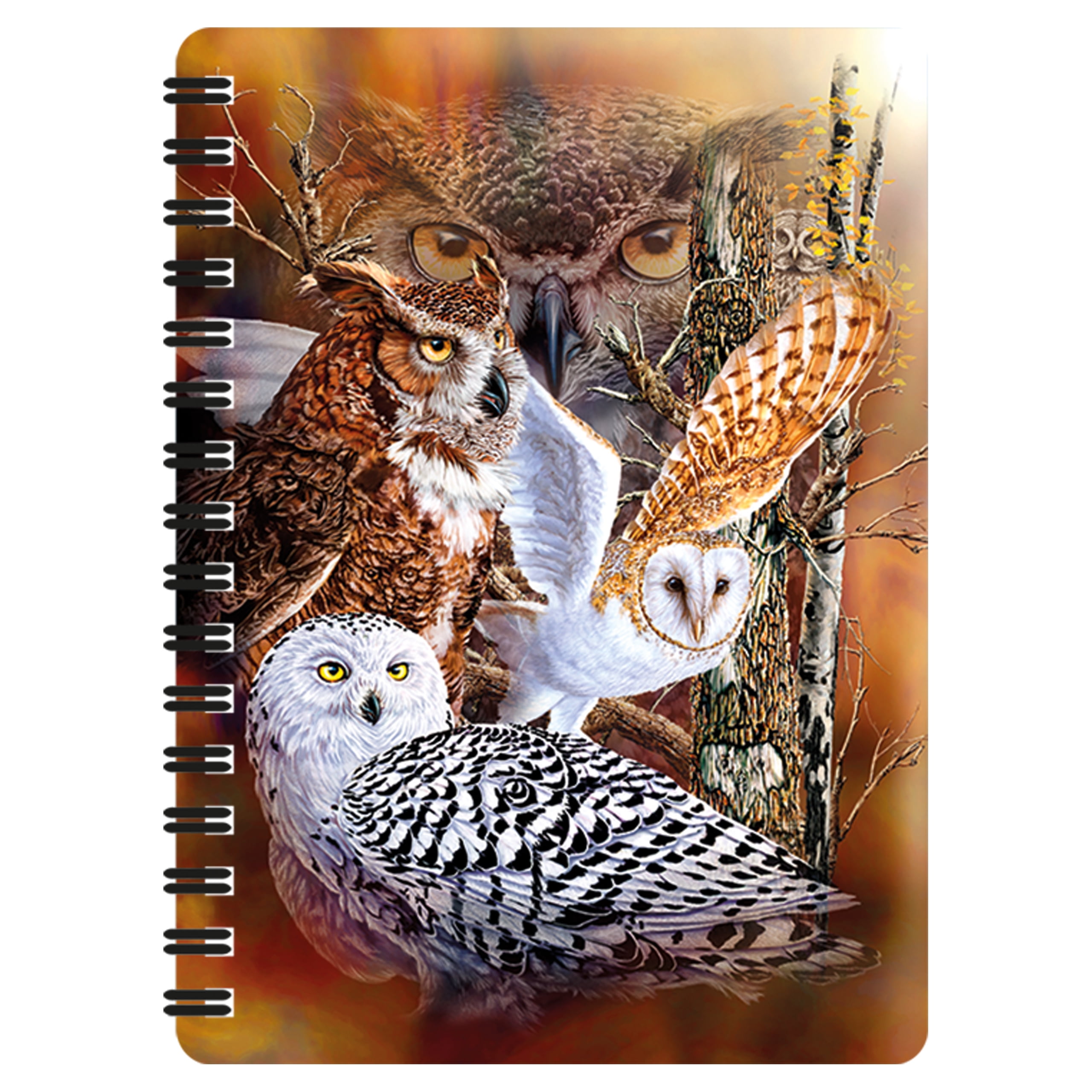 3D LiveLife Jotter - Owl Woods from Deluxebase. Lenticular 3D Wildlife 6x4 Spiral Notebook with ...