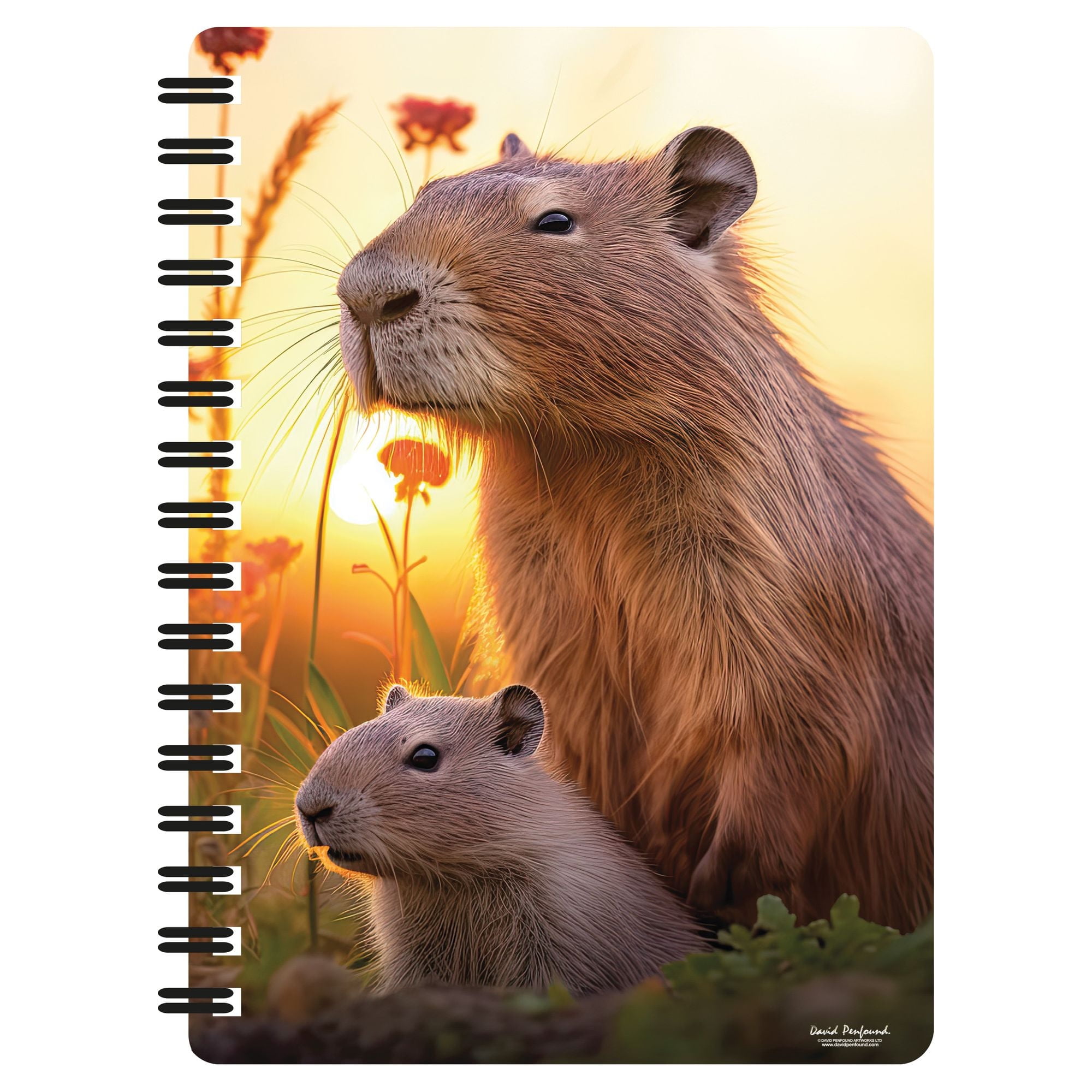 3D LiveLife Jotters - Cute Capybaras from Deluxebase. Lenticular 3D A6 ...