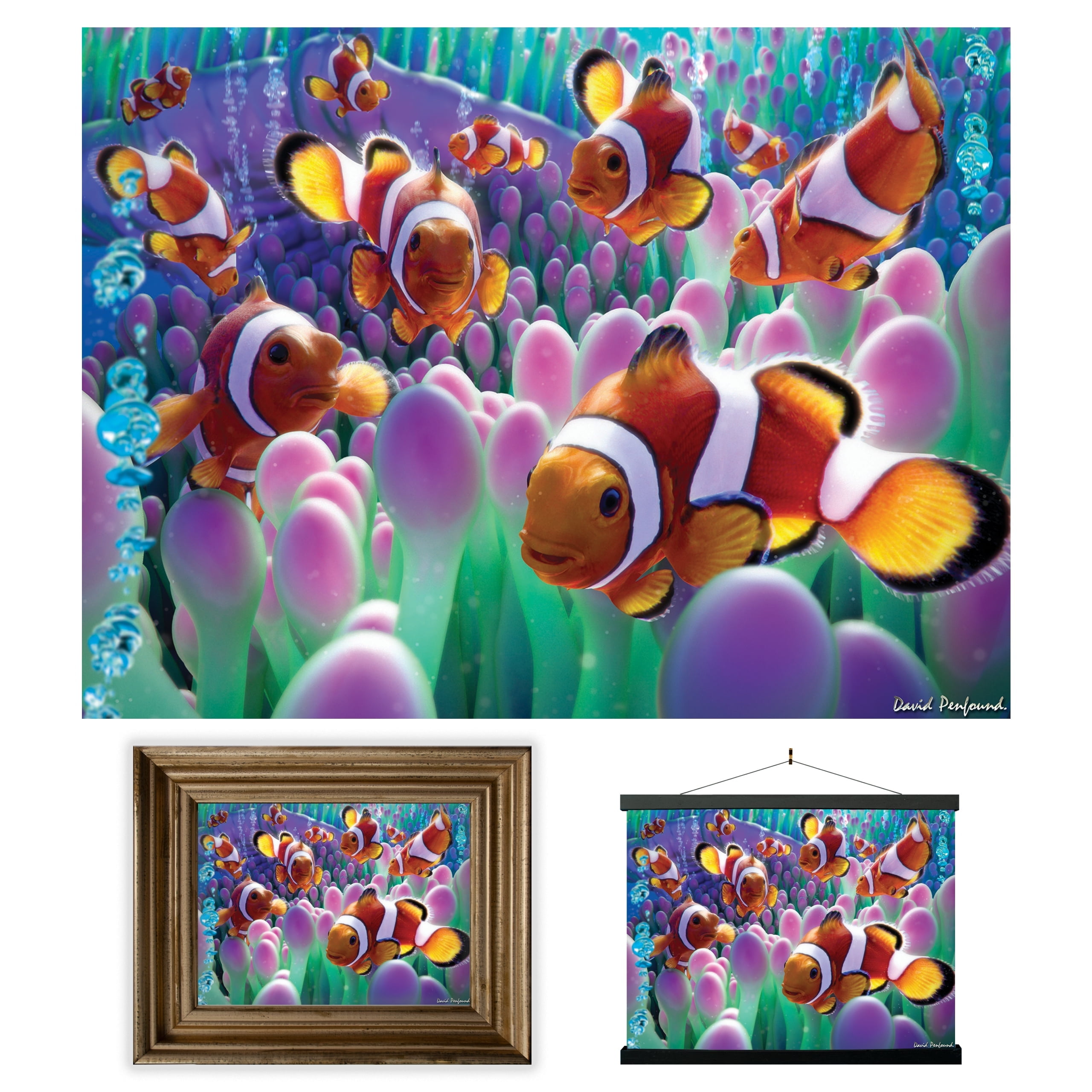 3D LiveLife Lenticular Wall Art - Clown Fish Ocean Poster by David ...