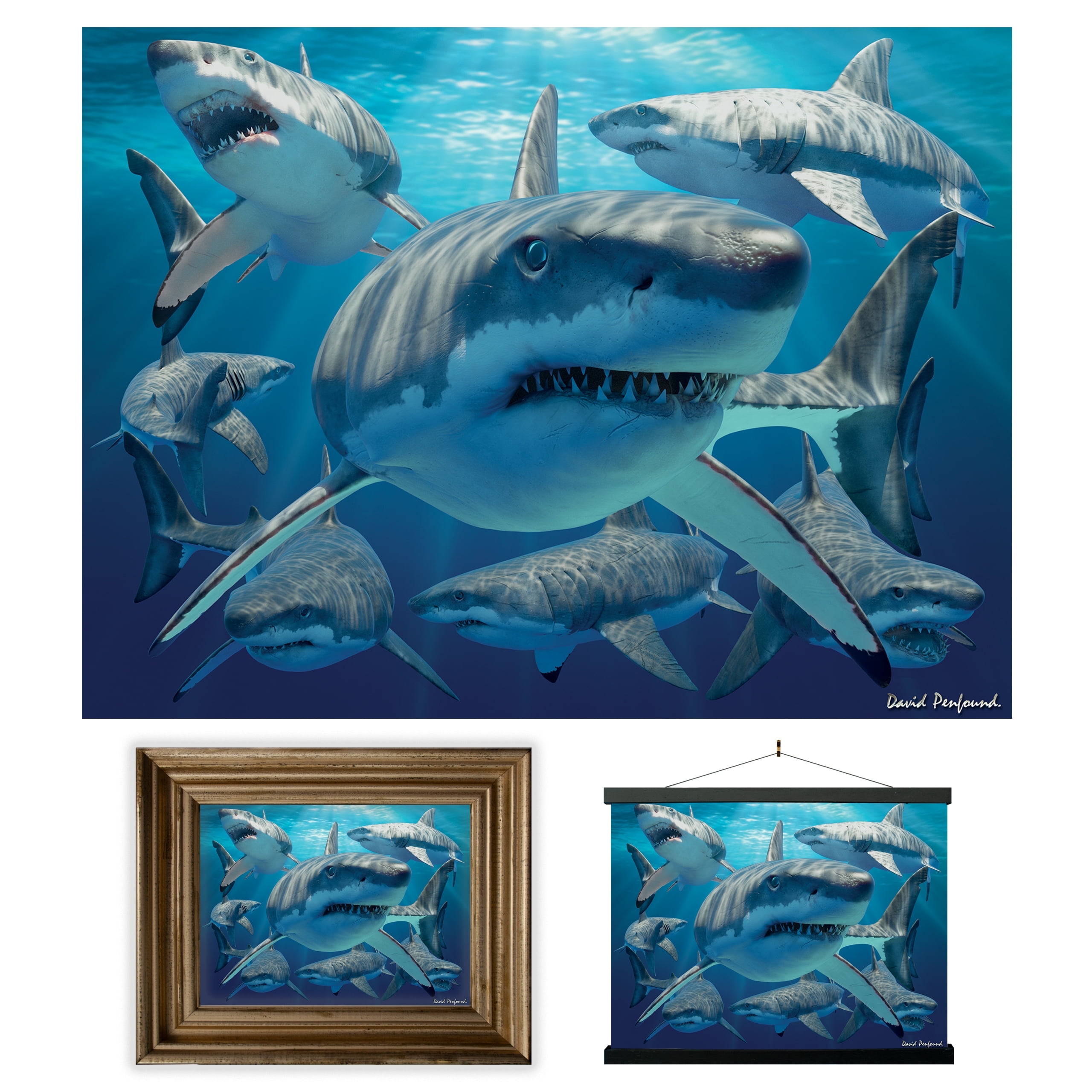 3D LiveLife Lenticular Wall Art – Great White Shark by Deluxebase | 3D ...