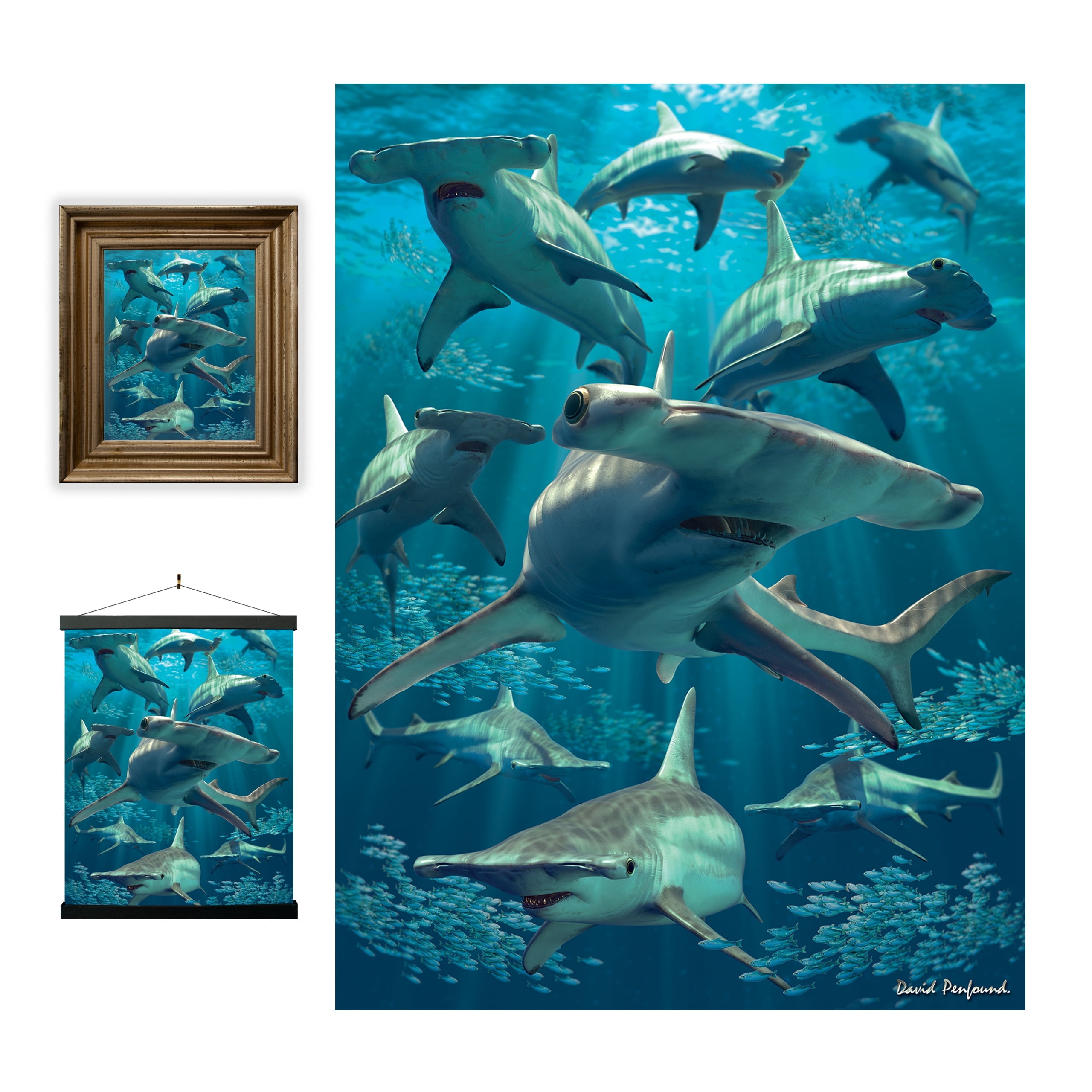3D LiveLife Lenticular Wall Art – Hammerhead Shark by Deluxebase | 3D ...