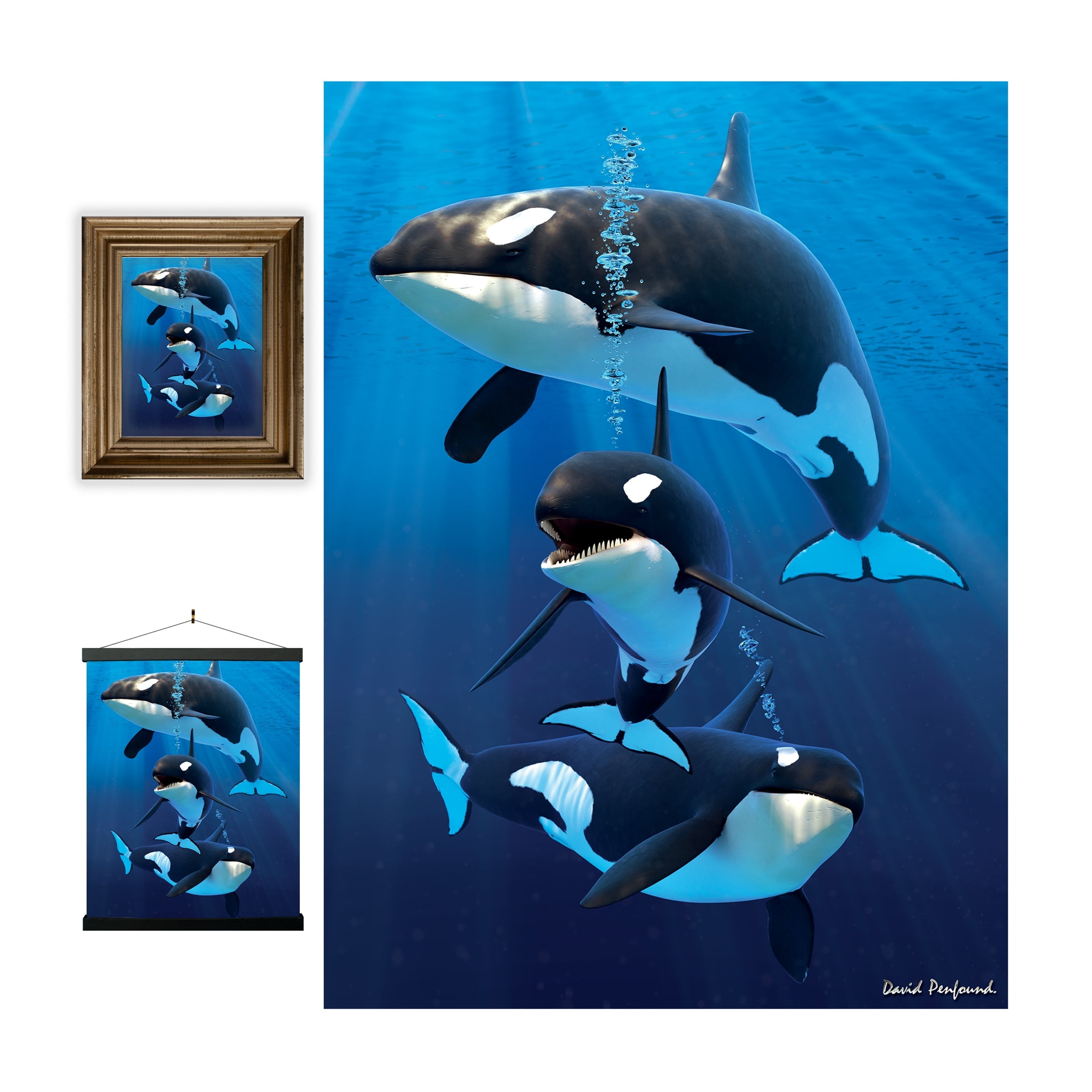 3D LiveLife Lenticular Wall Art – Orcas by Deluxebase | 3D Whale Art by ...