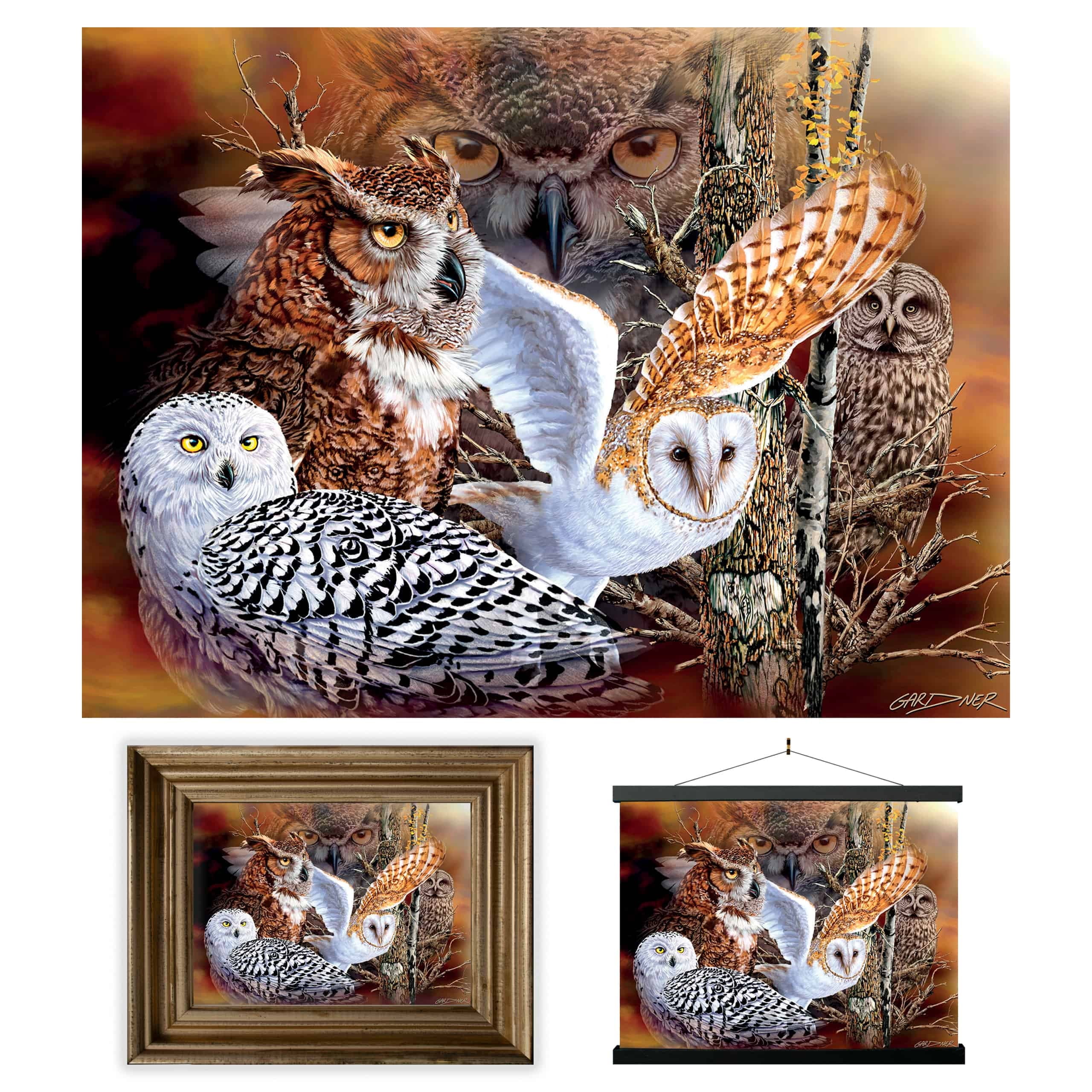 3D LiveLife Lenticular Wall Art – Owl Woods by Deluxebase | 3D Animal ...