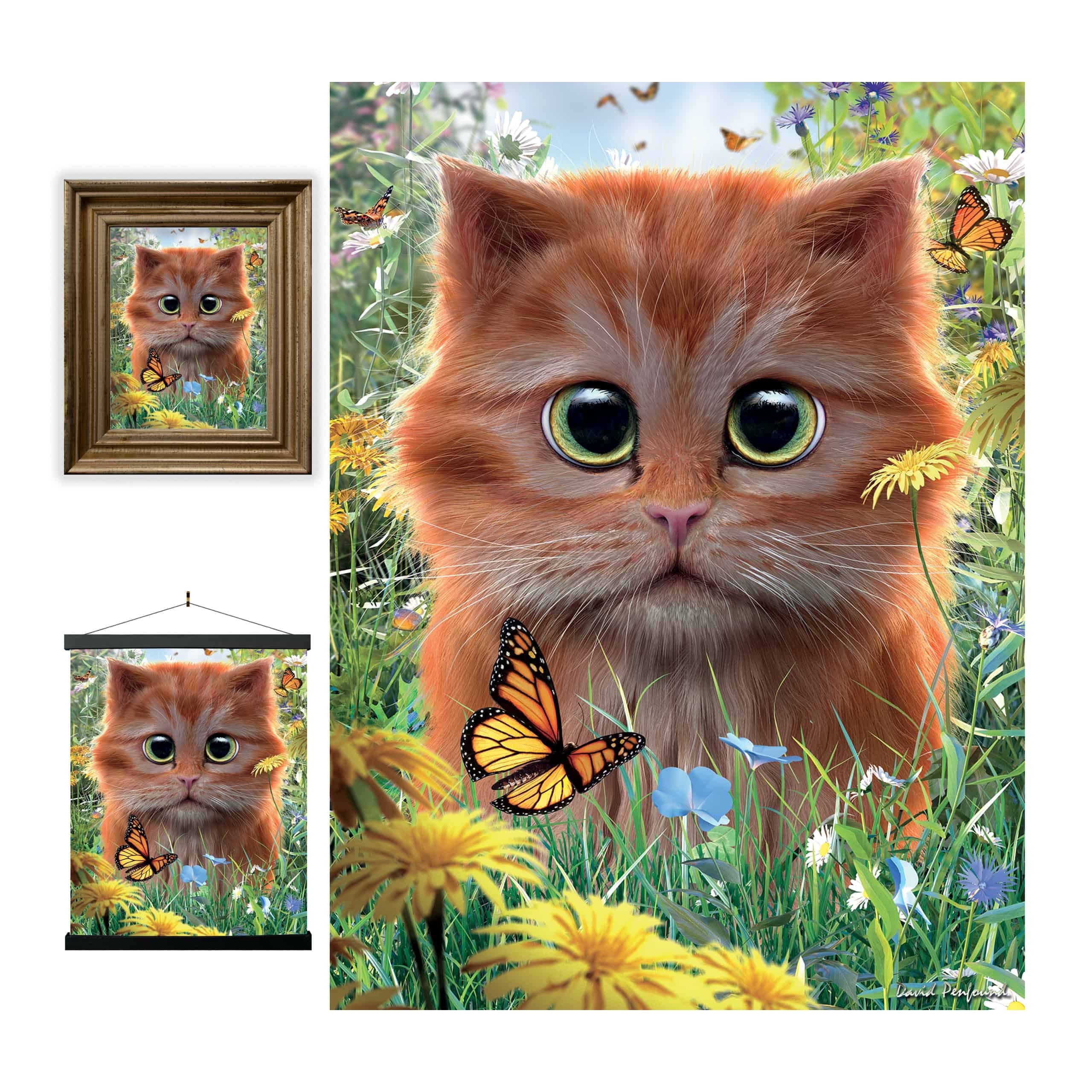 3D LiveLife Lenticular Wall Art Prints - Ginger Kitten from Deluxebase ...