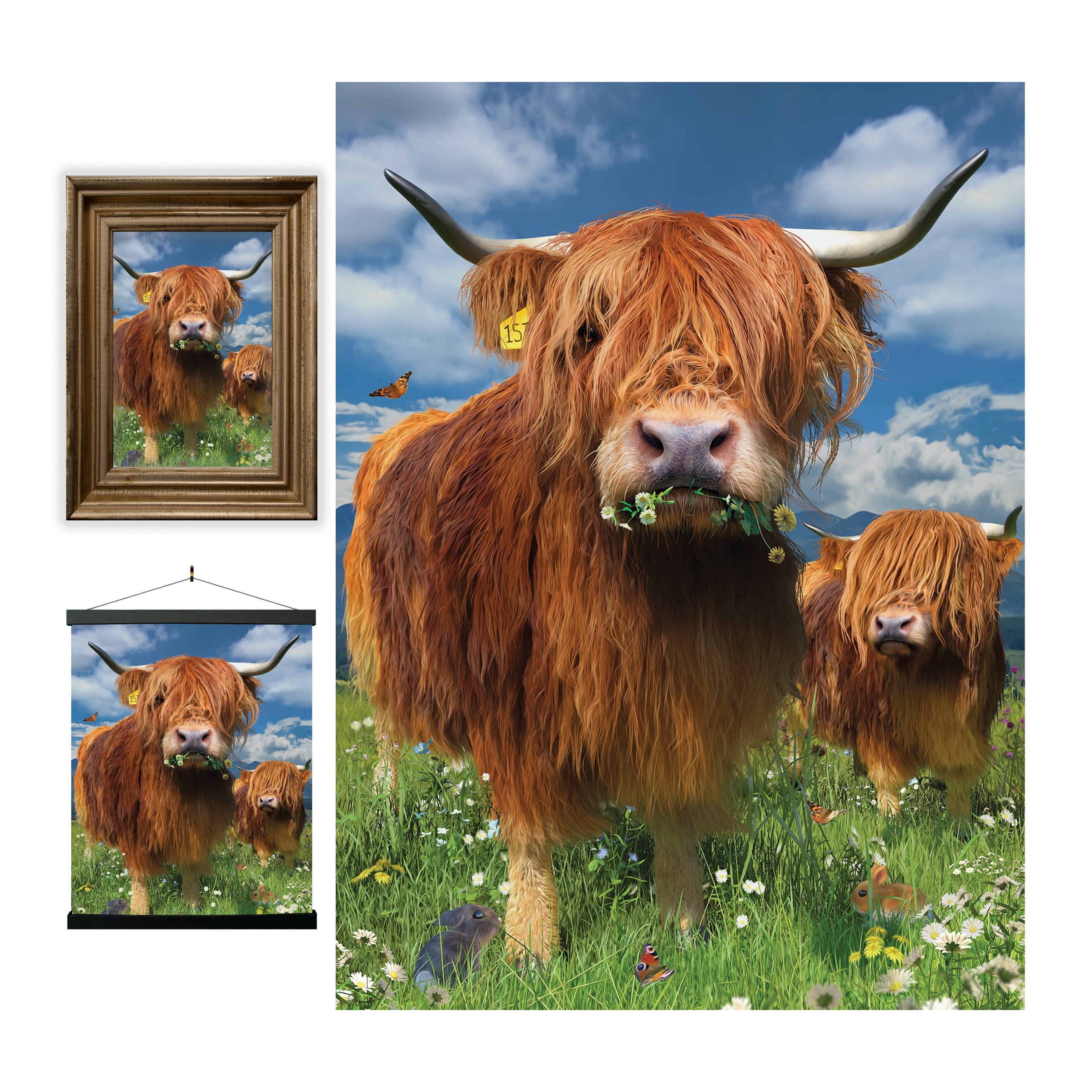 3D LiveLife Highland Cattle Wall Art by Deluxebase – Lenticular 3D Cow ...