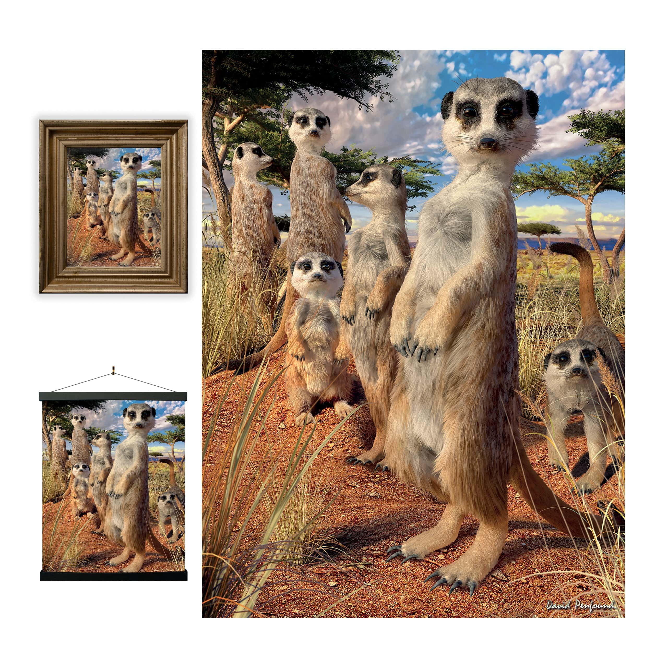 3D LiveLife Lenticular Wall Art Prints - Meerkat Gaze from Deluxebase. Unframed 3D Safari Poster ...