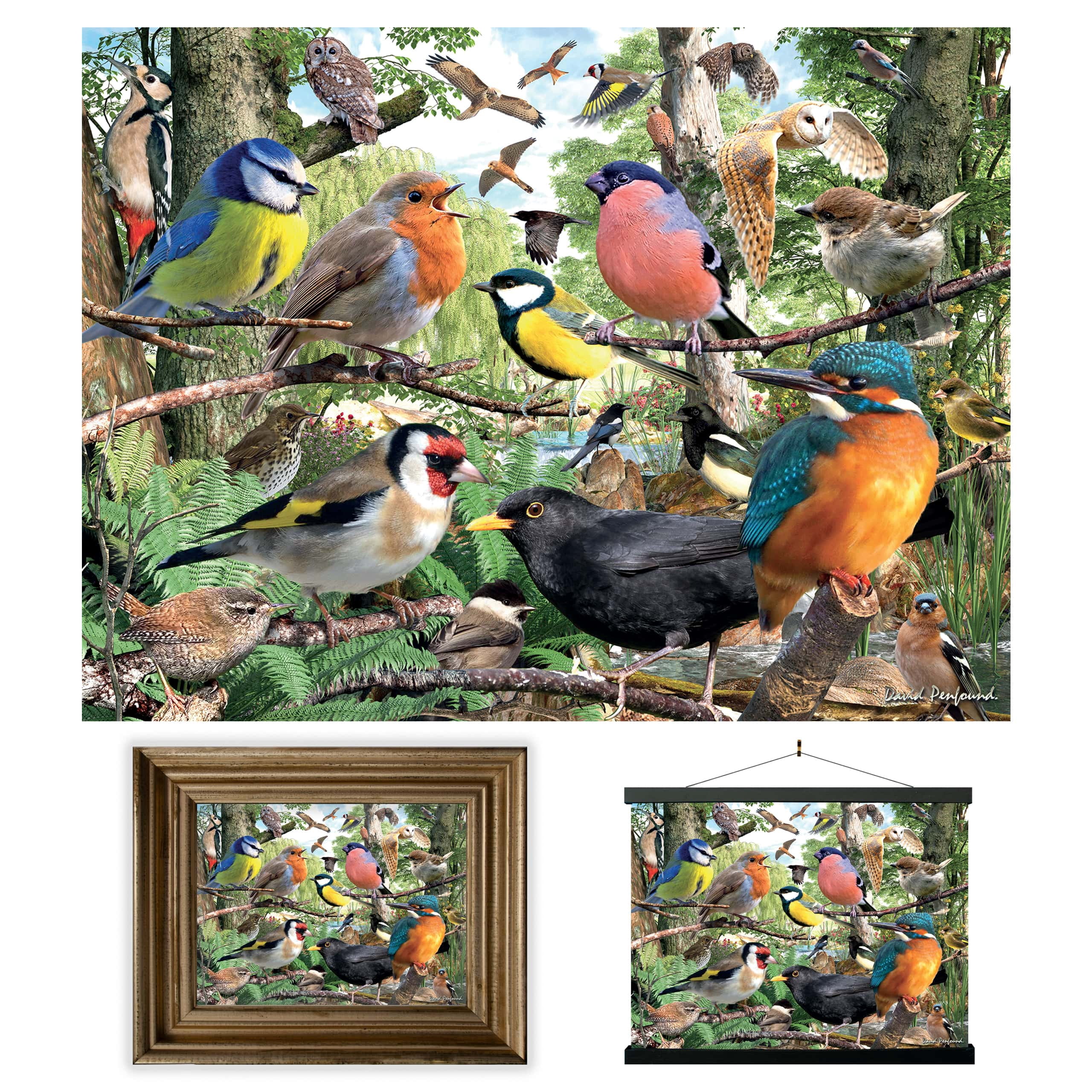 3D LiveLife Lenticular Wall Art Prints - Nature's home from Deluxebase ...