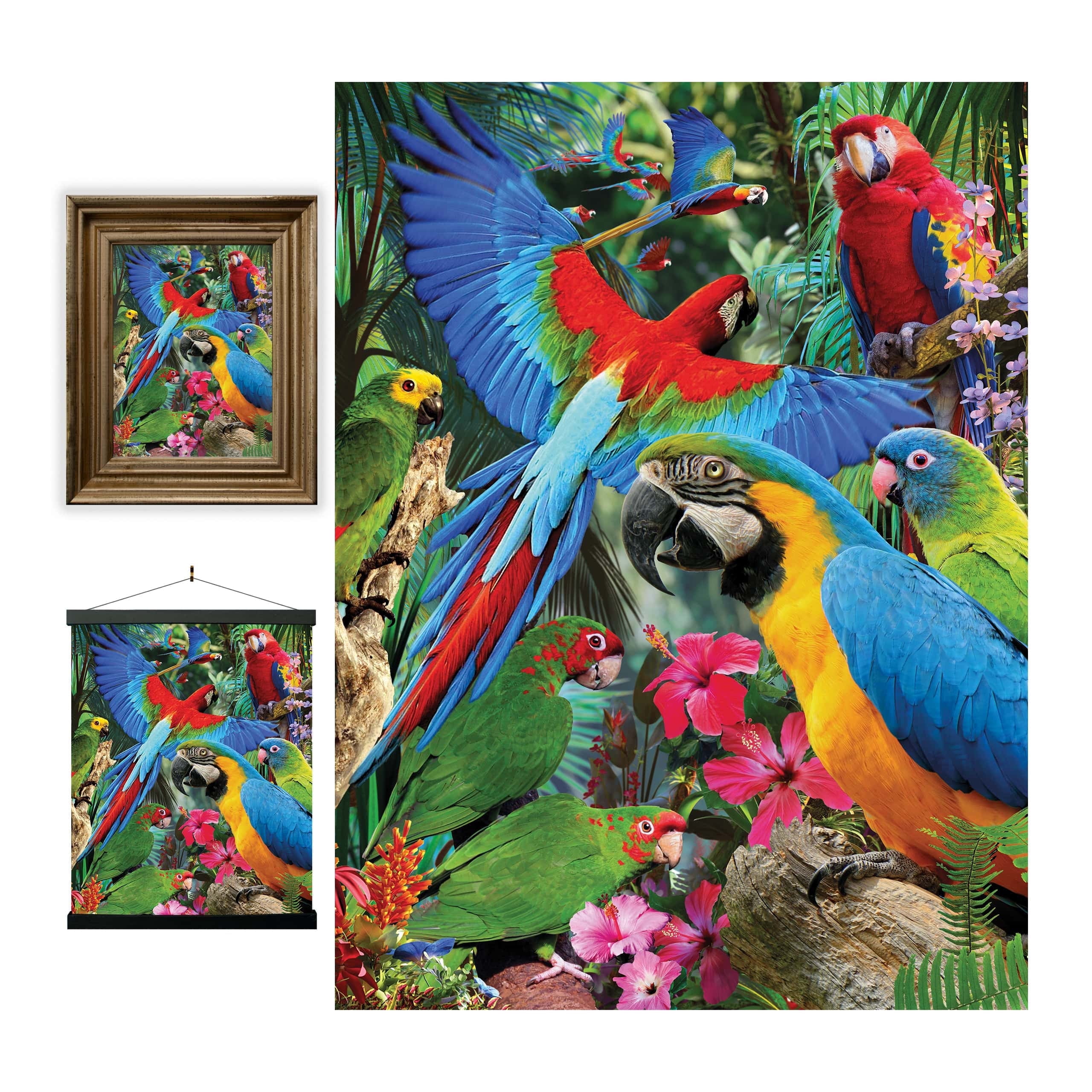 3D LiveLife Lenticular Wall Art – Parrot Pandemonia by Deluxebase | 3D ...