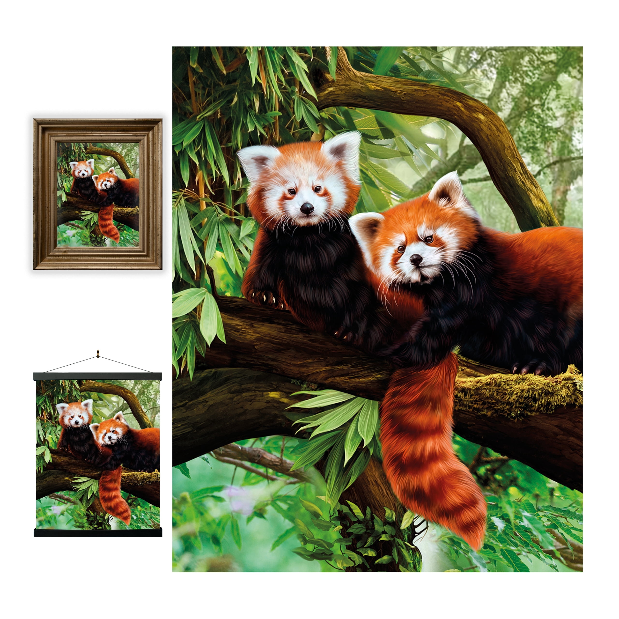 3D LiveLife Lenticular Wall Art Prints - Red Pandas from Deluxebase ...