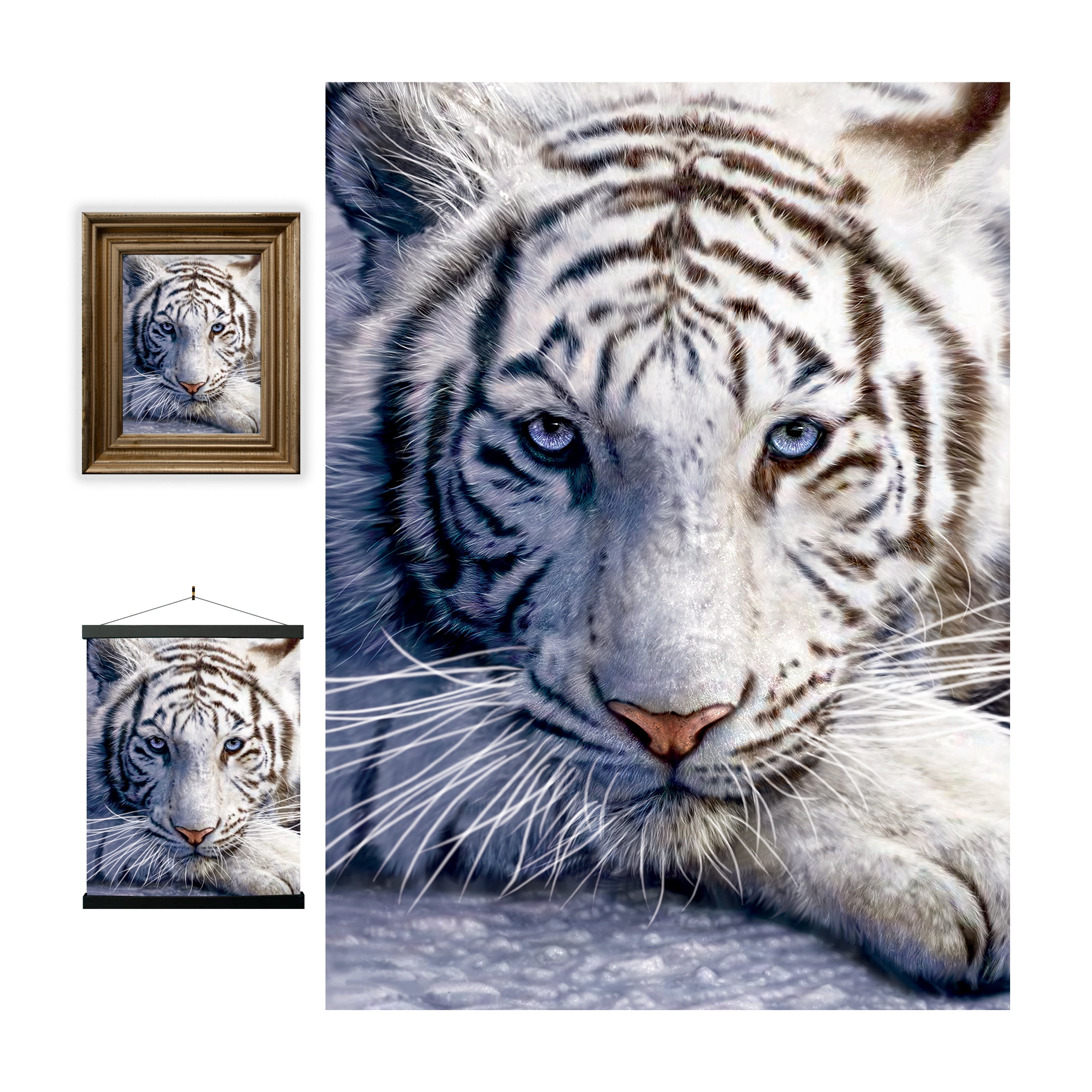 3D LiveLife Lenticular Wall Art Prints - White Tiger Repose from ...