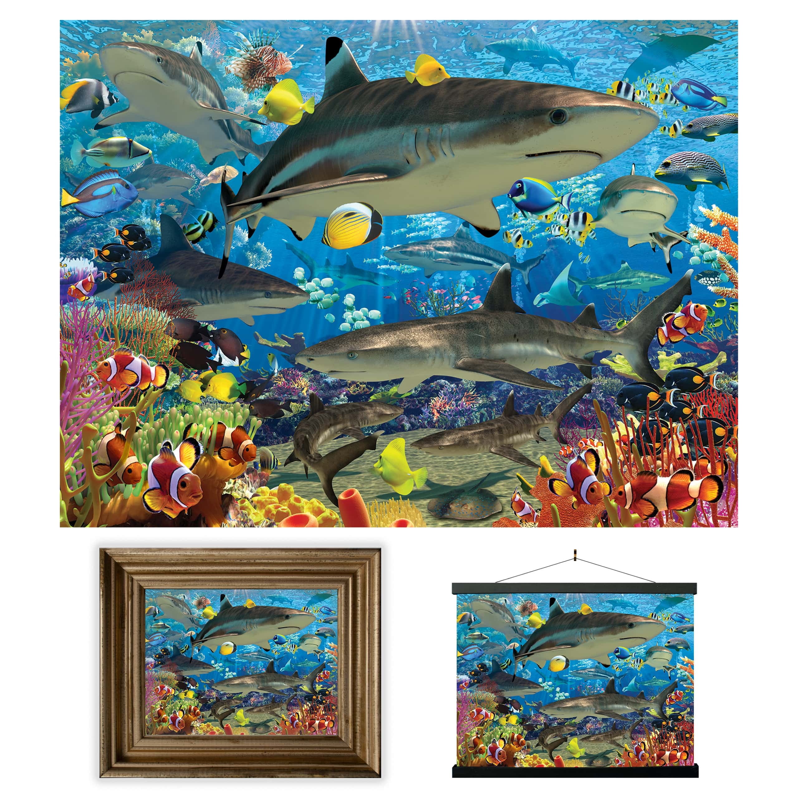 3D LiveLife Lenticular Wall Art – Shark Reef by Deluxebase | 3D Ocean ...