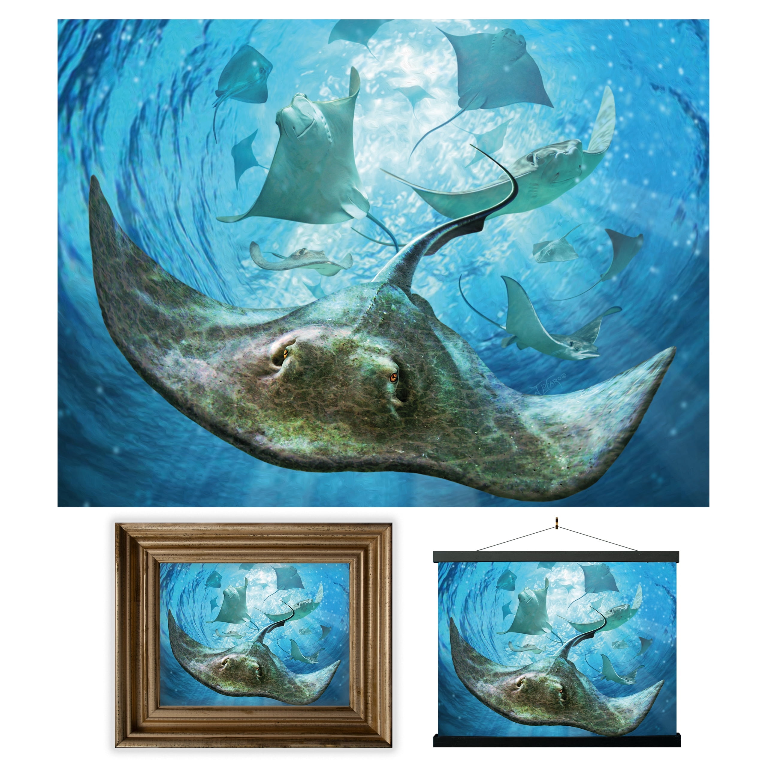 3D LiveLife Lenticular Wall Art – Sting Rays by Deluxebase | 3D Ocean ...