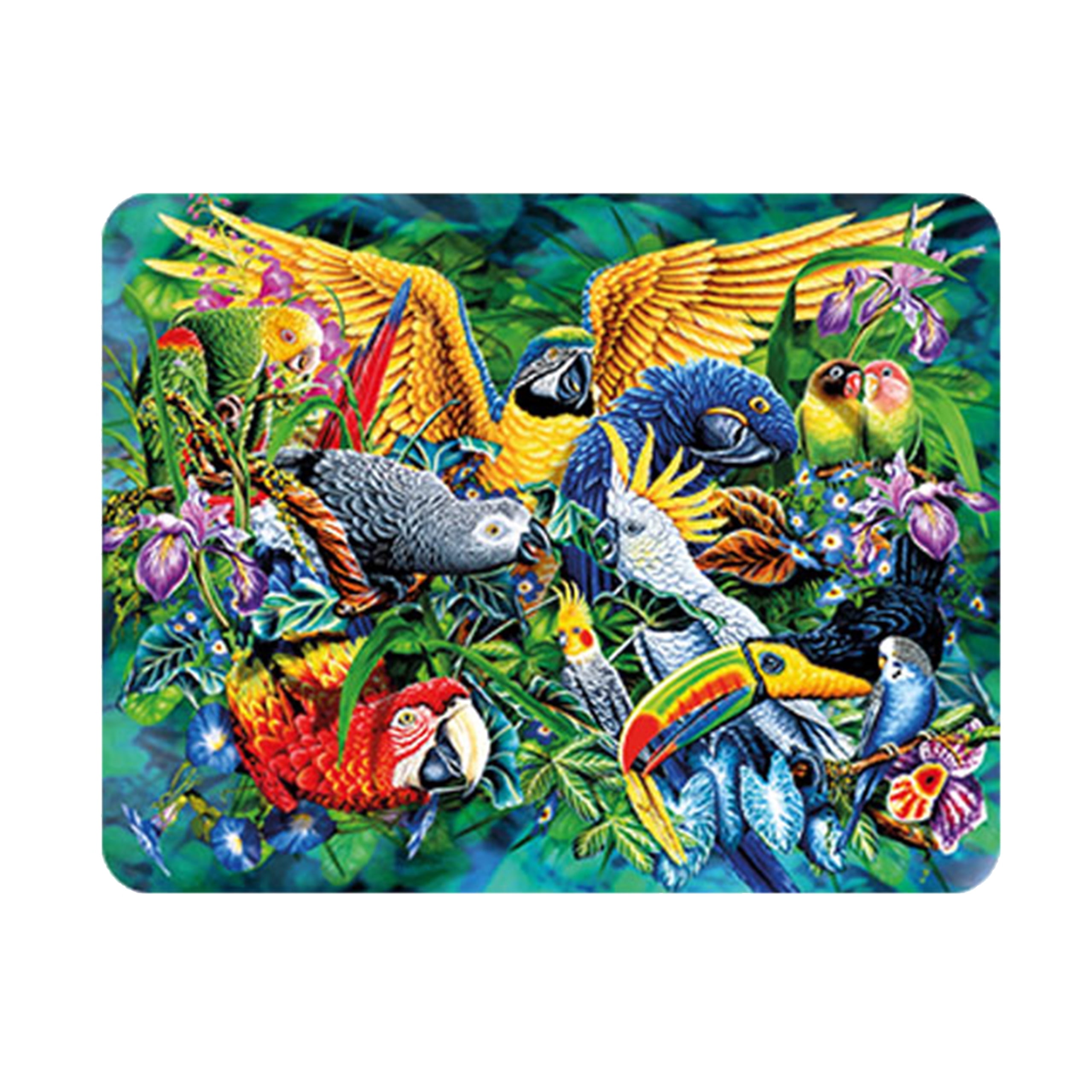 3D LiveLife Magnet - Birds of the Tropics Lenticular Bird Fridge Magnet ...