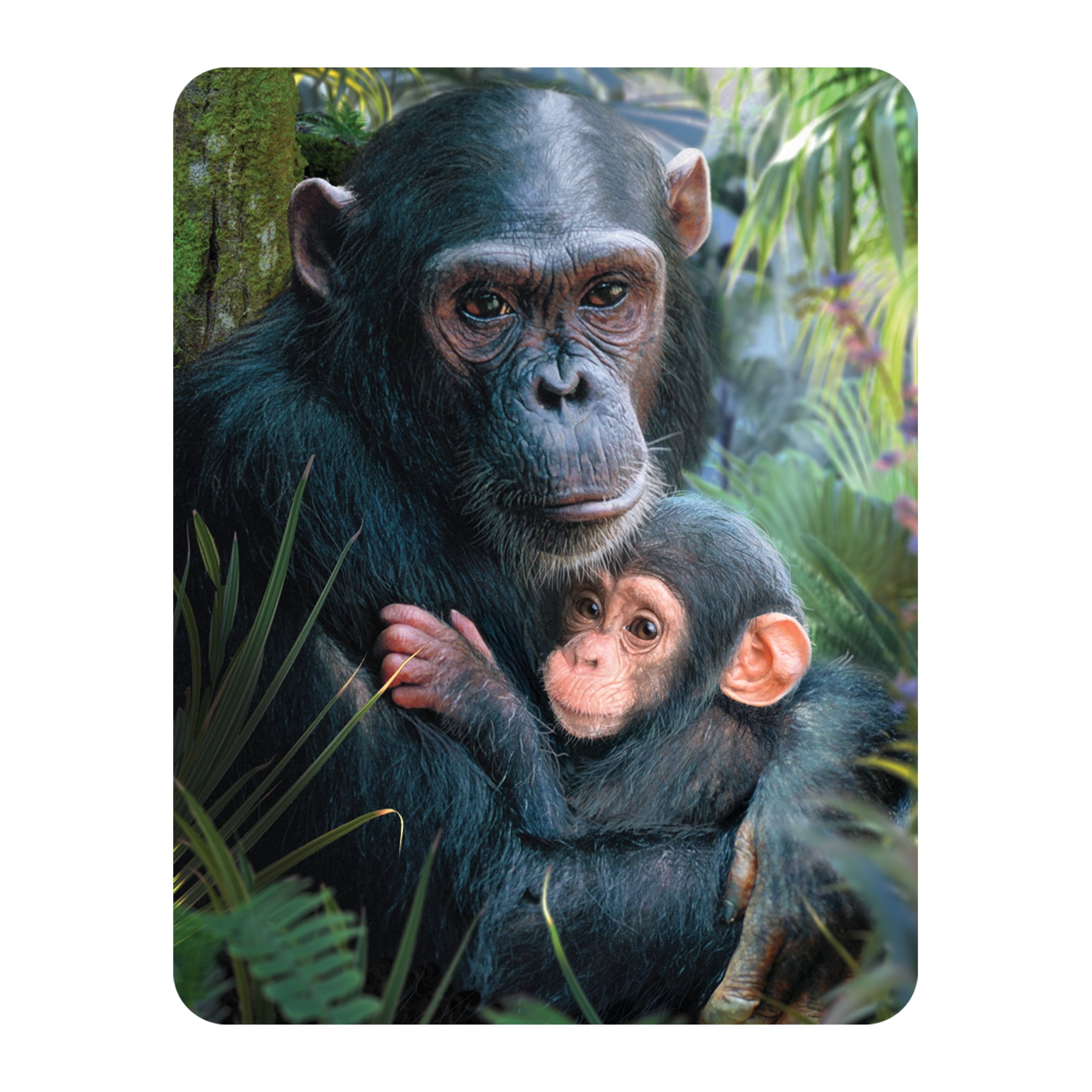 3D LiveLife Magnet - Cute Cuddles from Deluxebase. Lenticular 3D ...
