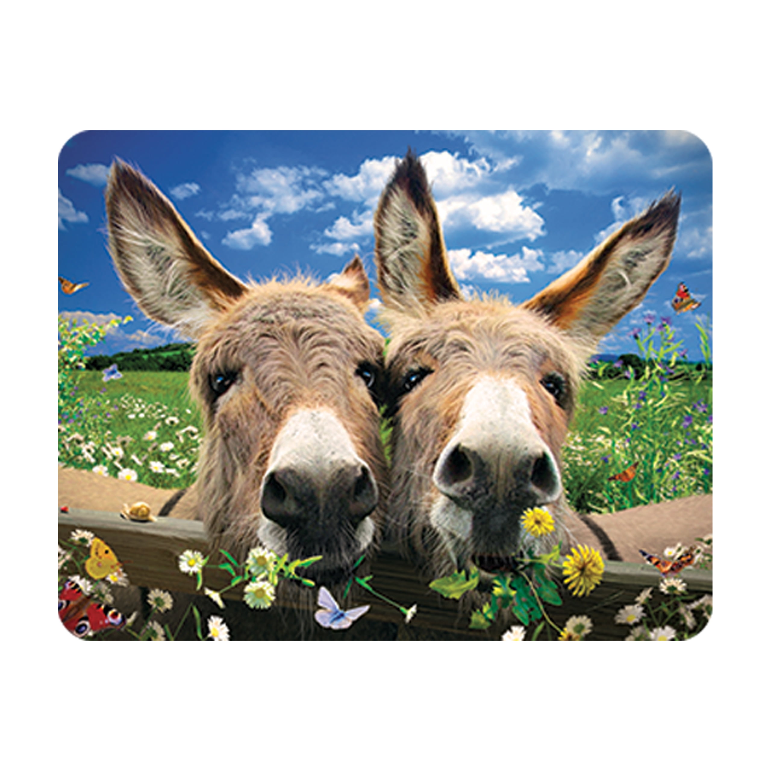 3D LiveLife Magnet - Donkeys from Deluxebase. Lenticular 3D Farm Fridge ...
