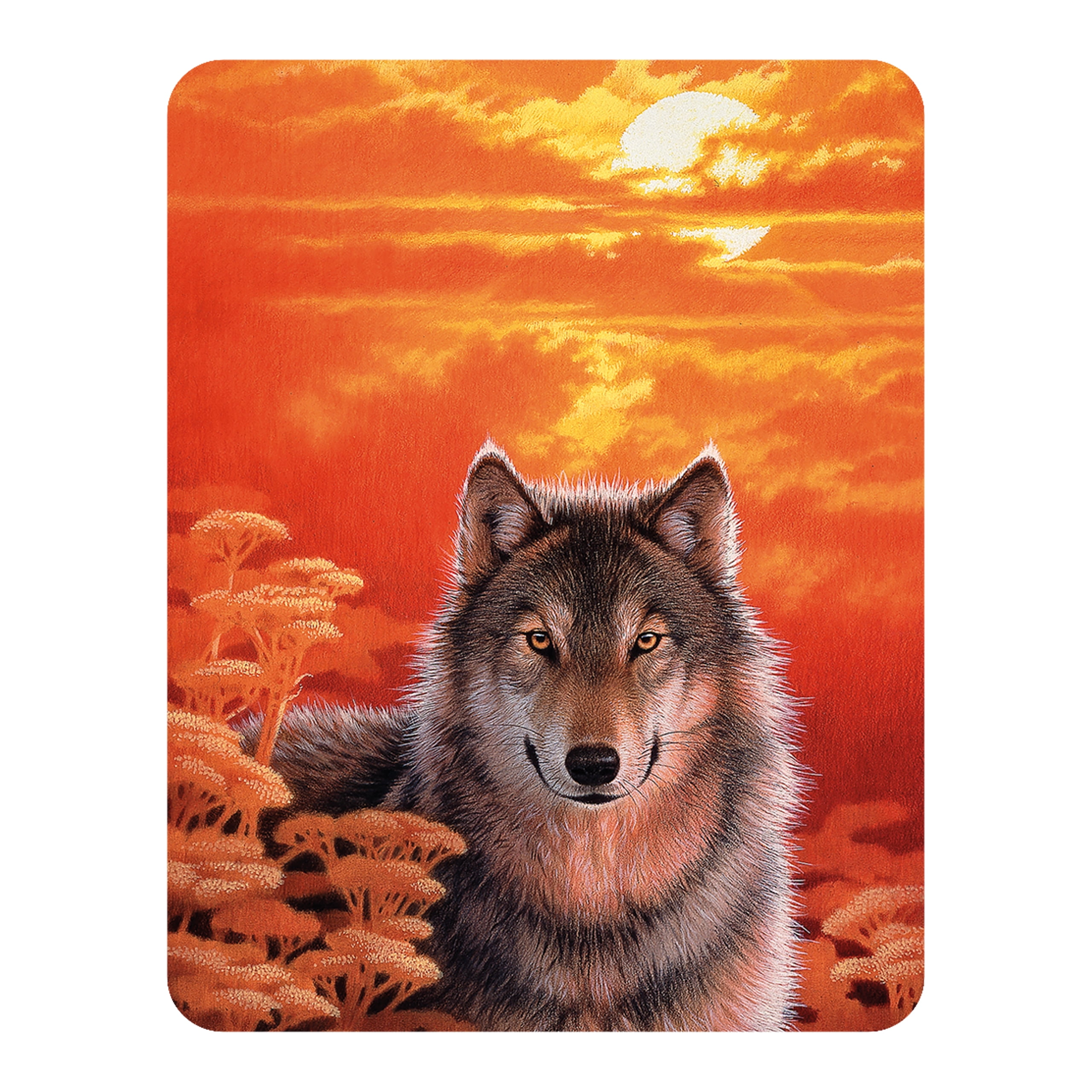 3D LiveLife Magnet - Gaze from Deluxebase. Lenticular 3D Wolf Fridge ...