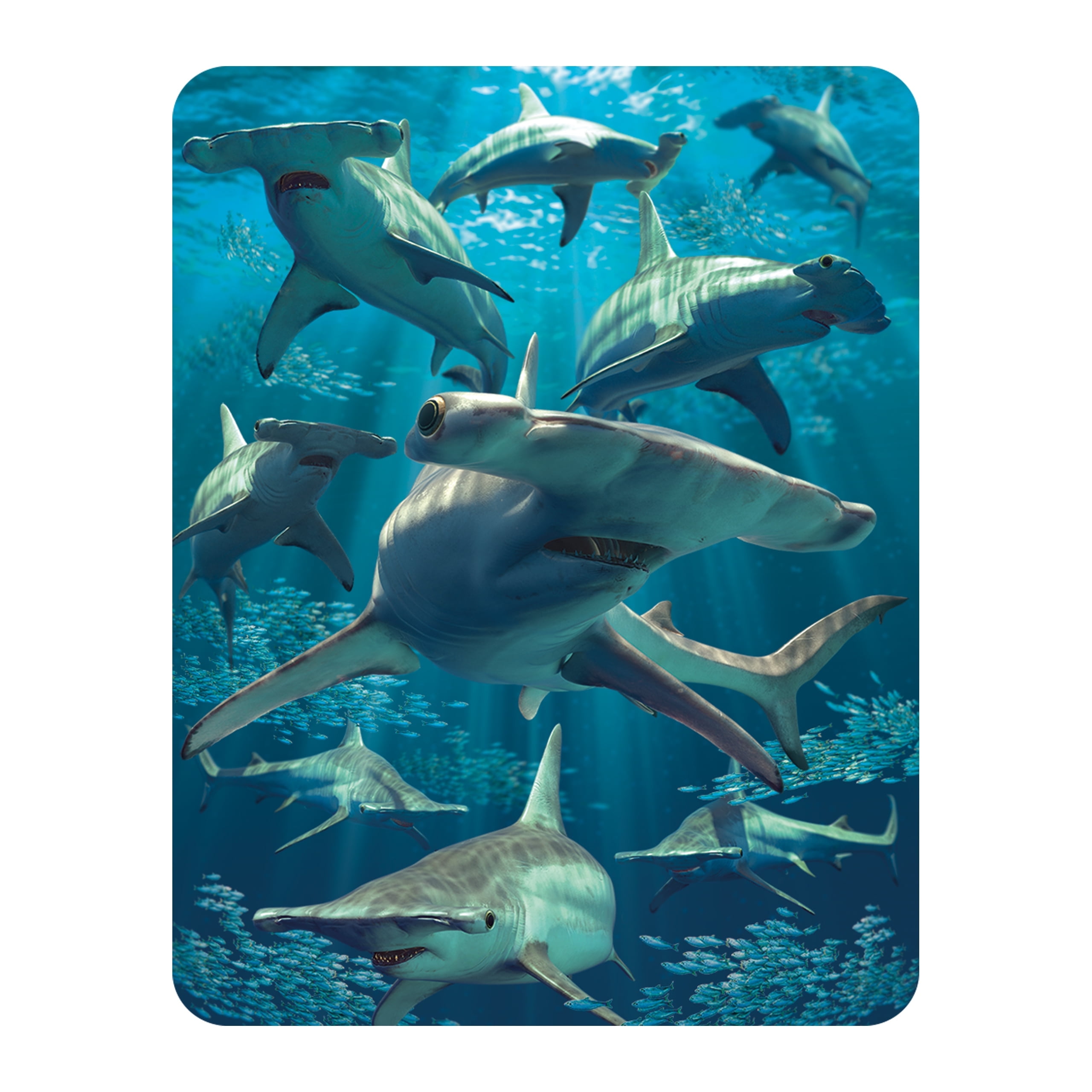 3D LiveLife Magnet - Hammerhead Shark by Deluxebase Lenticular 3D ...