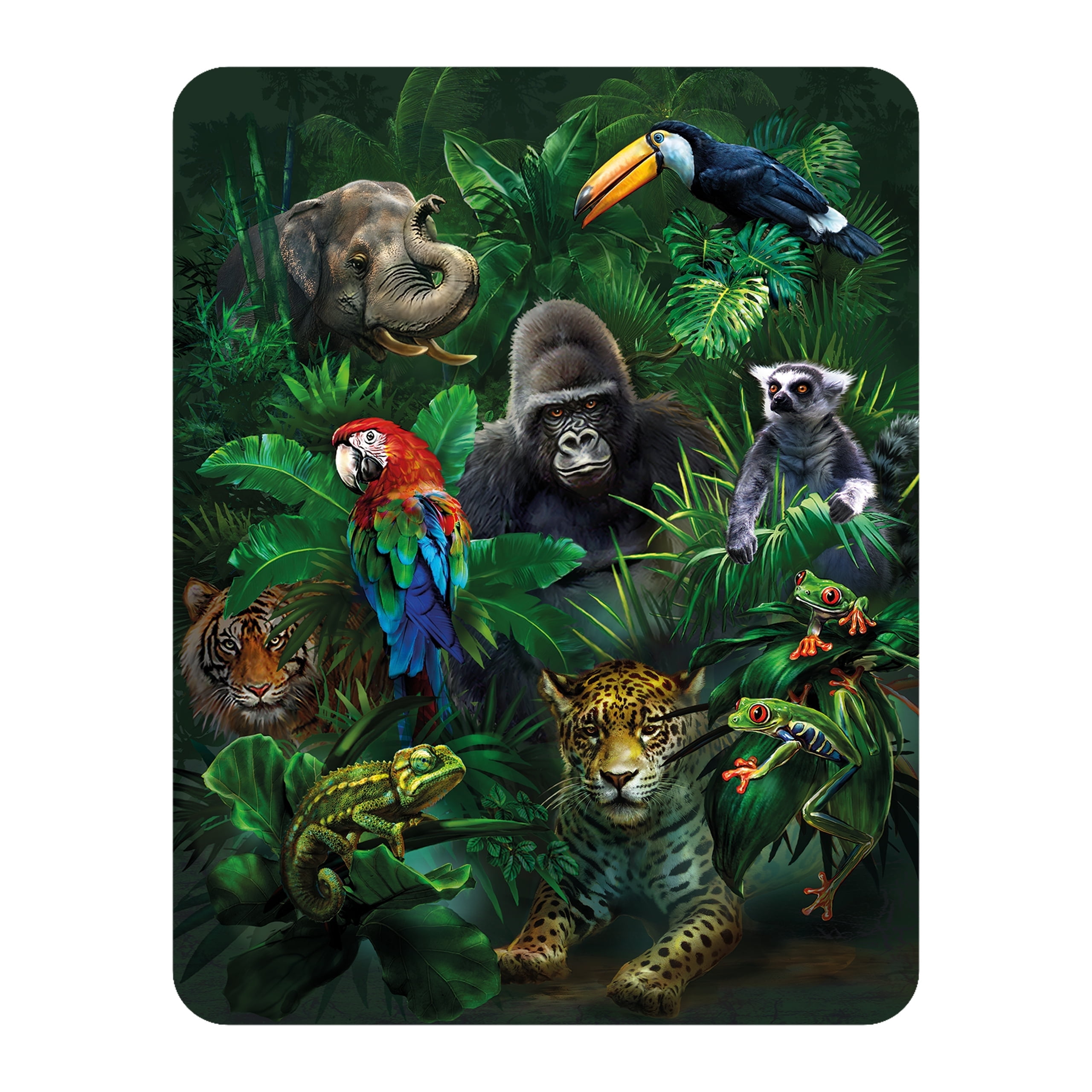 3D LiveLife Magnet - Jungle Pals by Deluxebase Lenticular 3D Wild ...