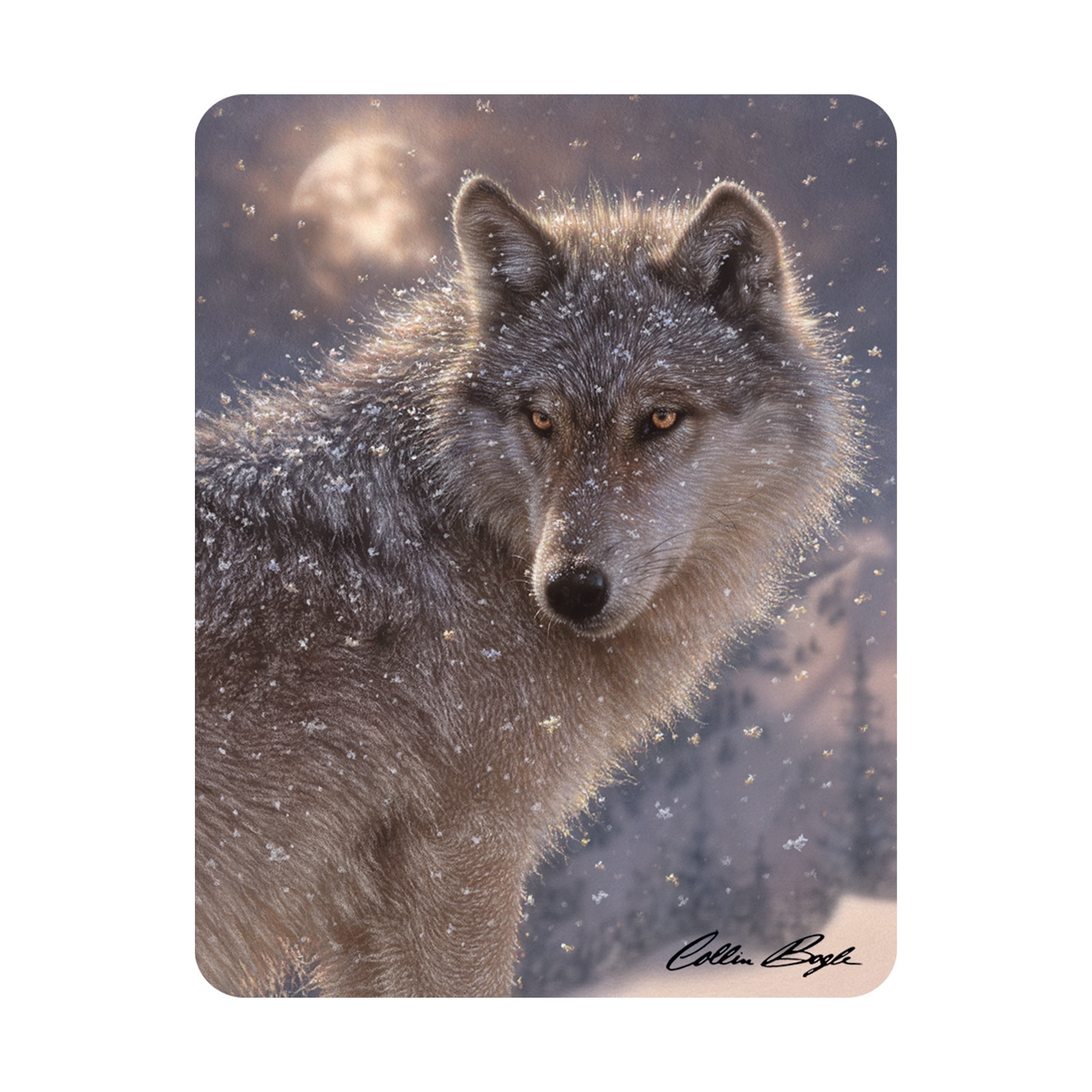 3D LiveLife Magnet - Lone Wolf from Deluxebase. Lenticular 3D Wolf Fridge Magnet. Magnetic Decor ...