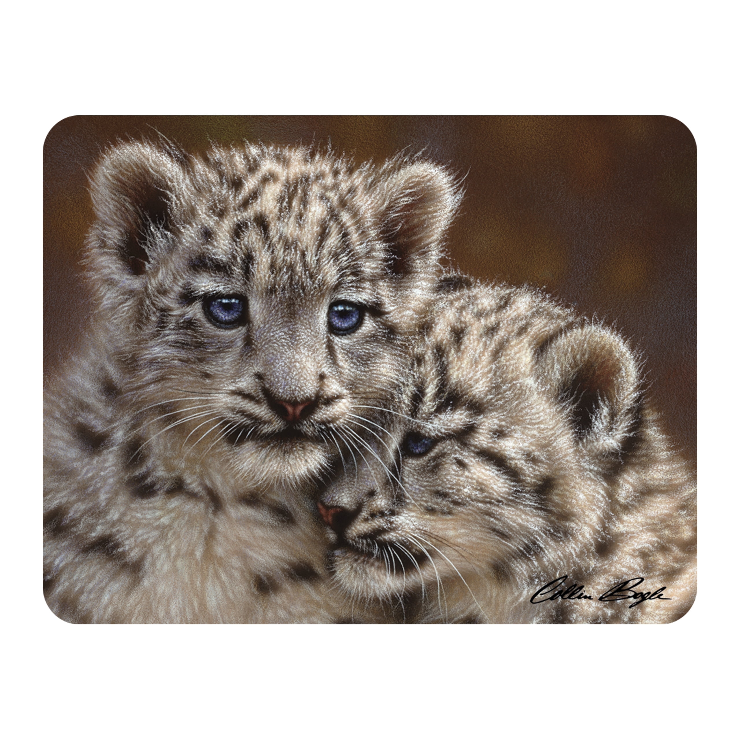 3D LiveLife Magnet - Playmates Tiger Cubs by Deluxebase Lenticular 3D ...
