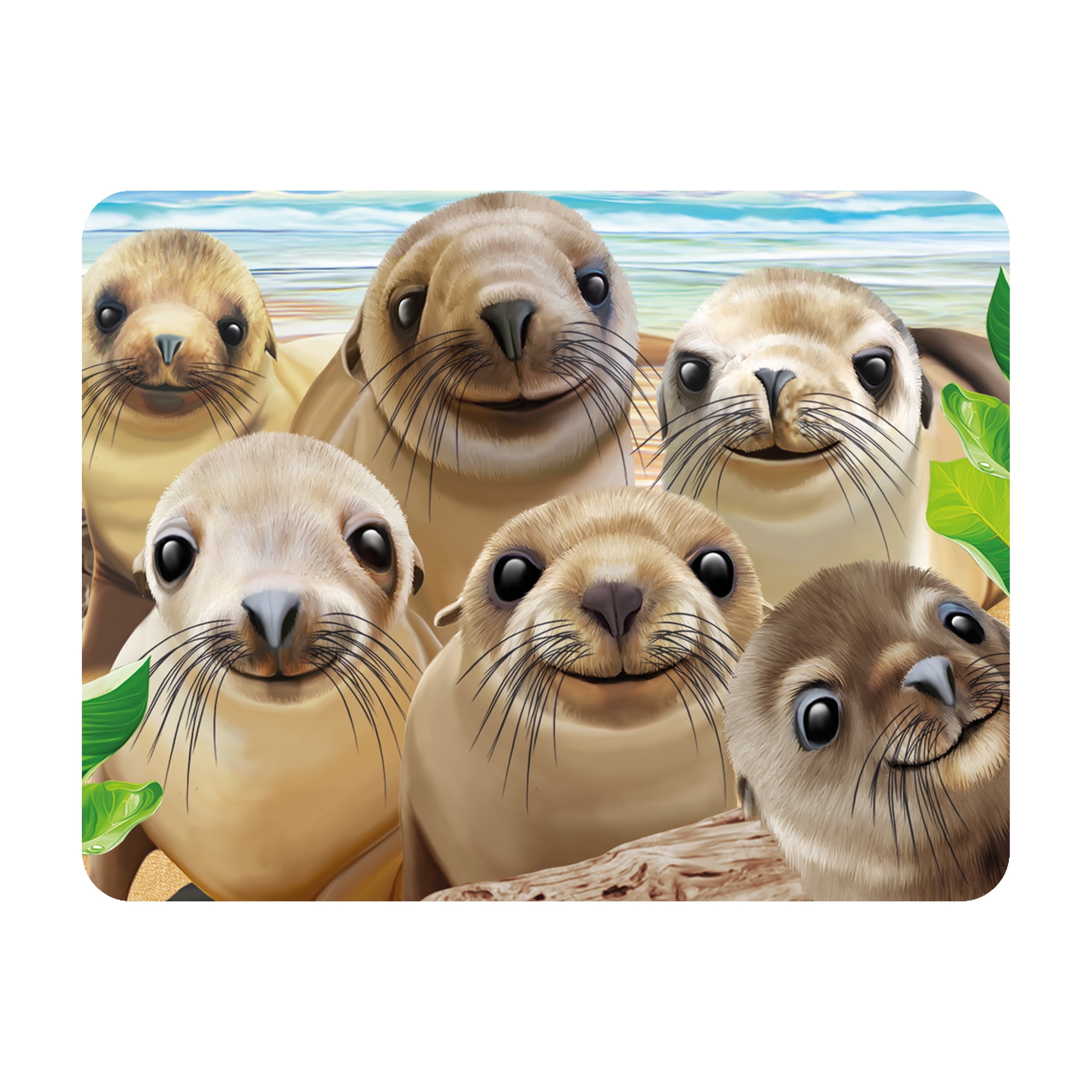 3D LiveLife Magnet - Sea Lion Snap by Deluxebase Lenticular 3D Ocean ...