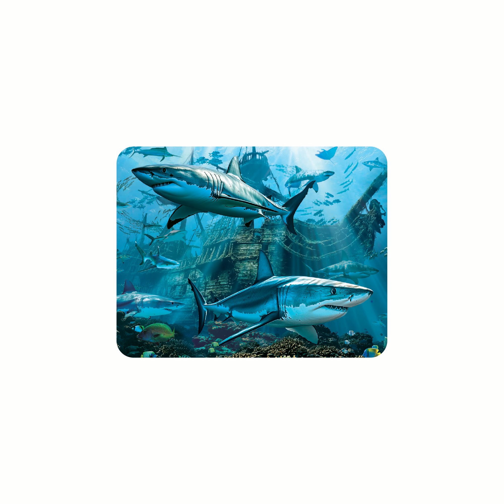 3D LiveLife Magnet - Shark Wreck from Deluxebase. Lenticular Animal ...