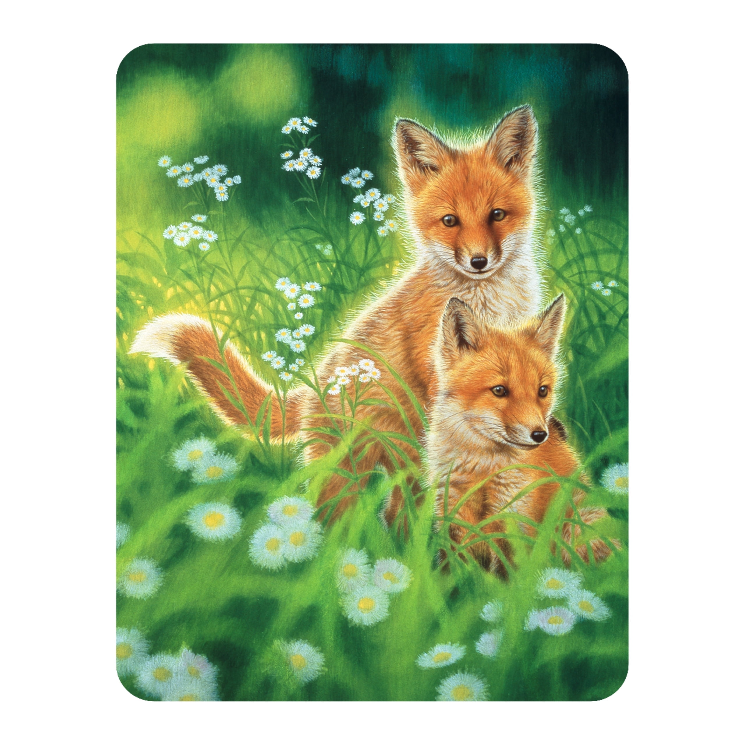 3D LiveLife Magnet - Spring Foxes Lenticular 3D Fox Fridge Magnet by ...