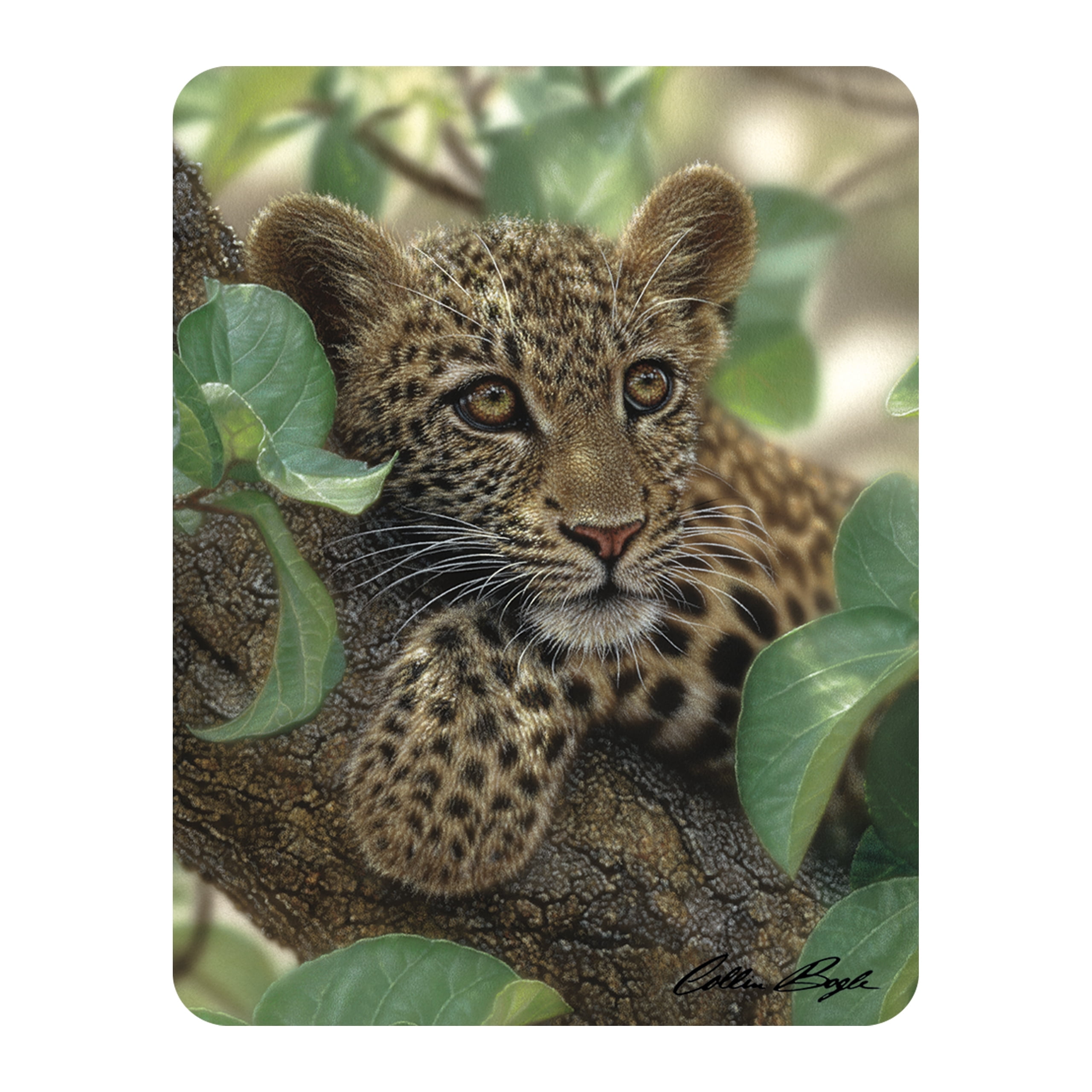 3D LiveLife Magnet - Tree Hugger Lenticular 3D Big Cat Fridge Magnet ...
