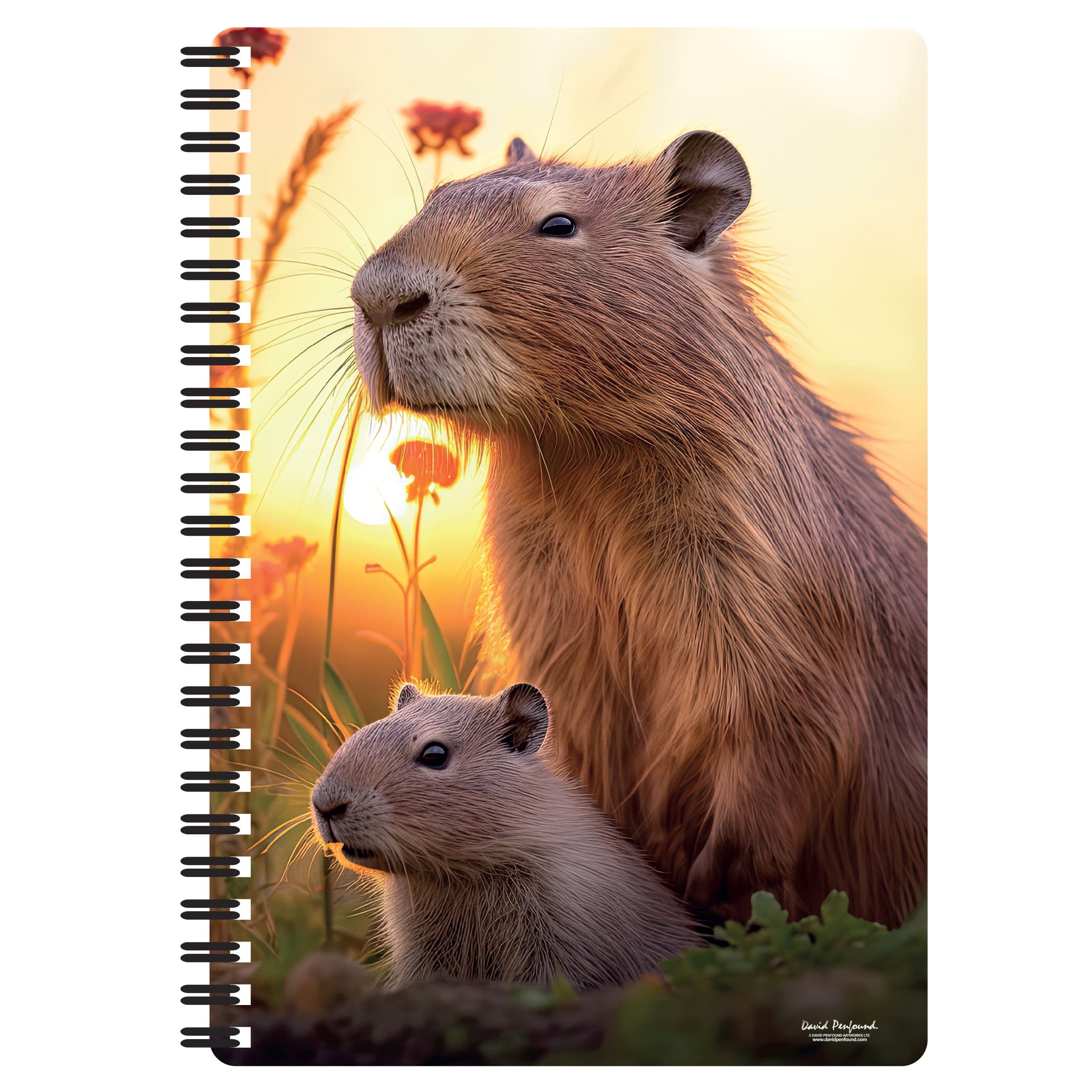 3D LiveLife Notebook - Cute Capybaras from Deluxebase. 80 Page ...